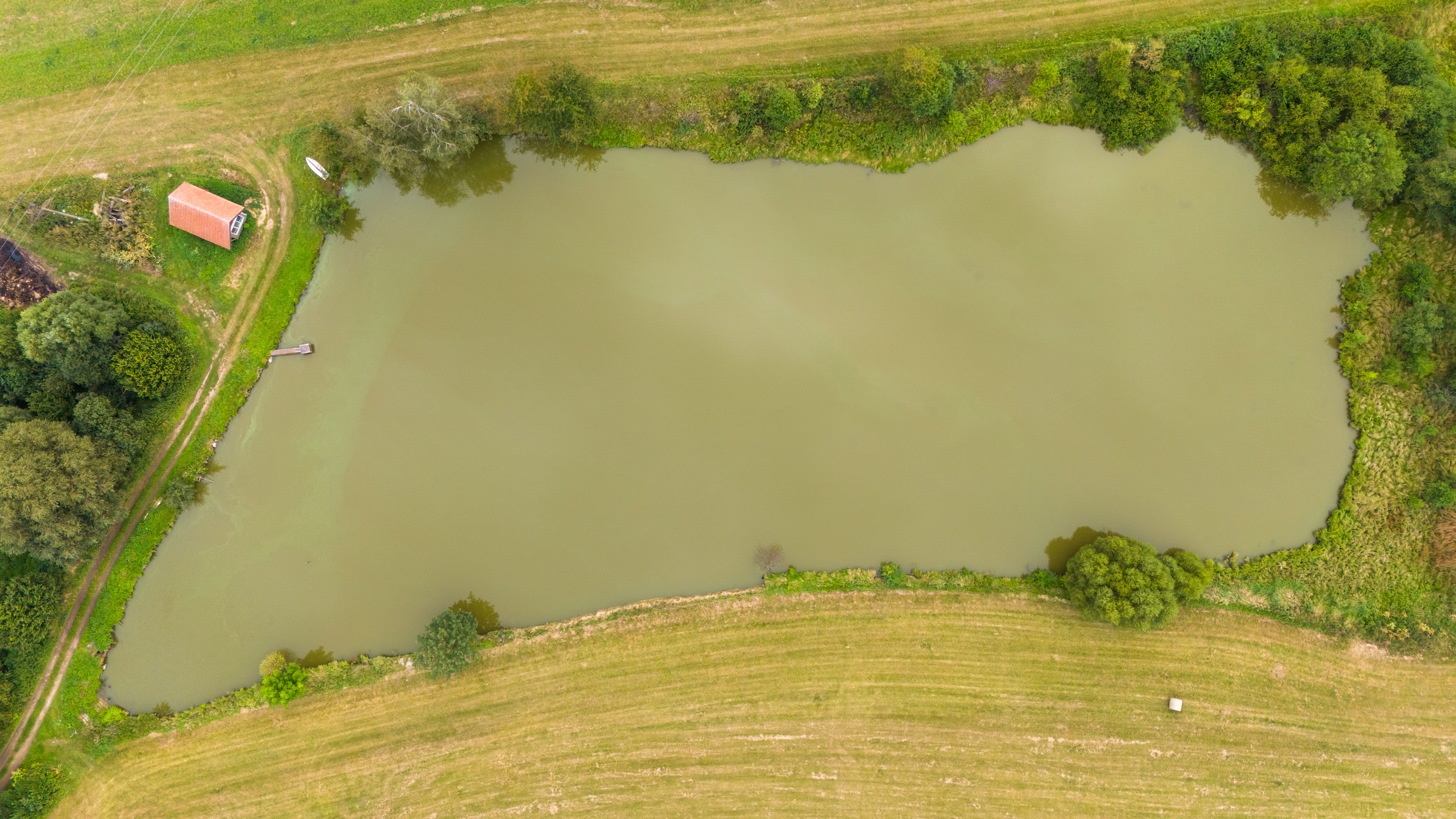 Aerial view of a pond in a field · Free Stock Photo