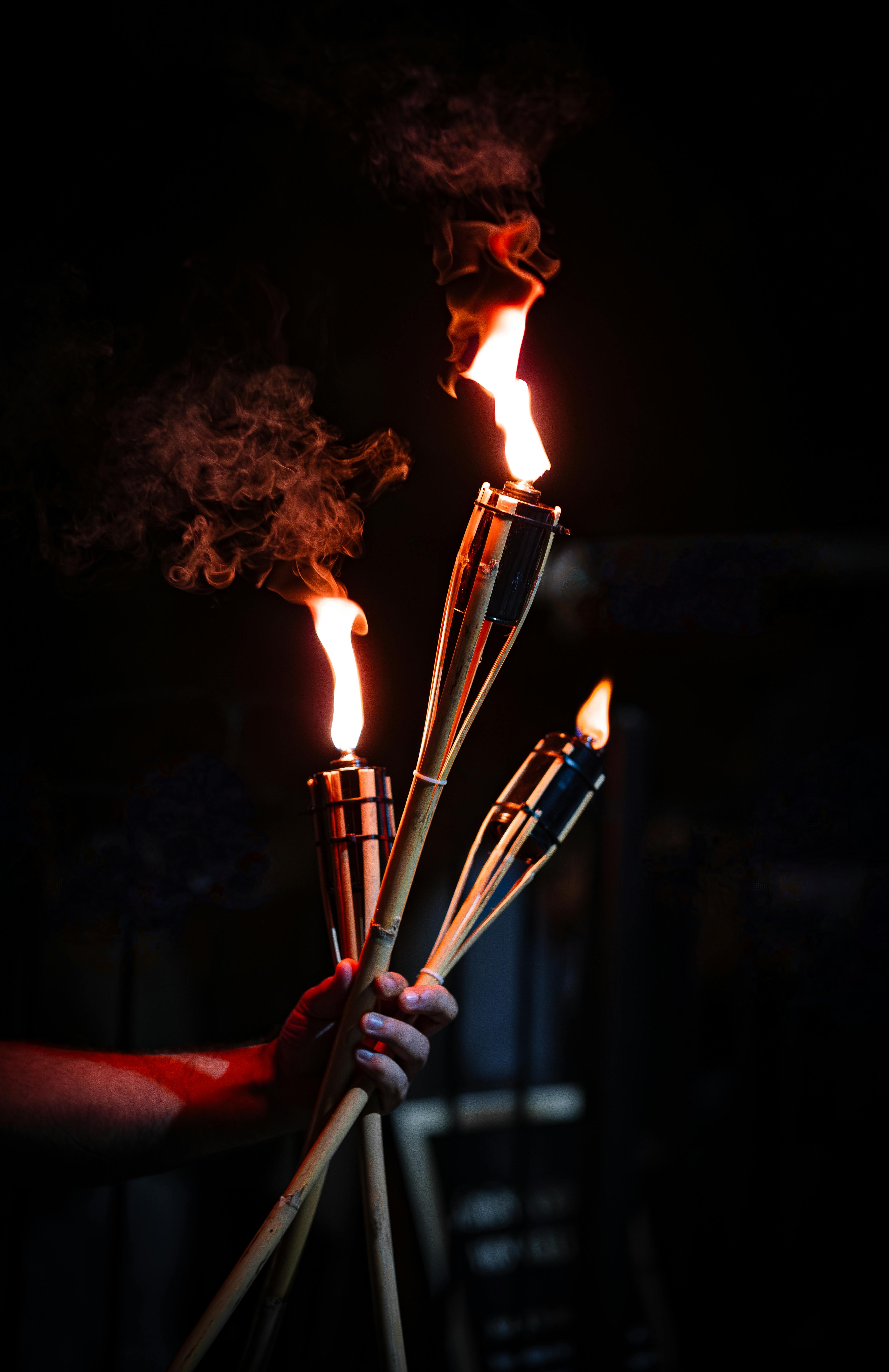 A Woman in Medieval Dress Holding a Torch in the Lake · Free Stock Photo