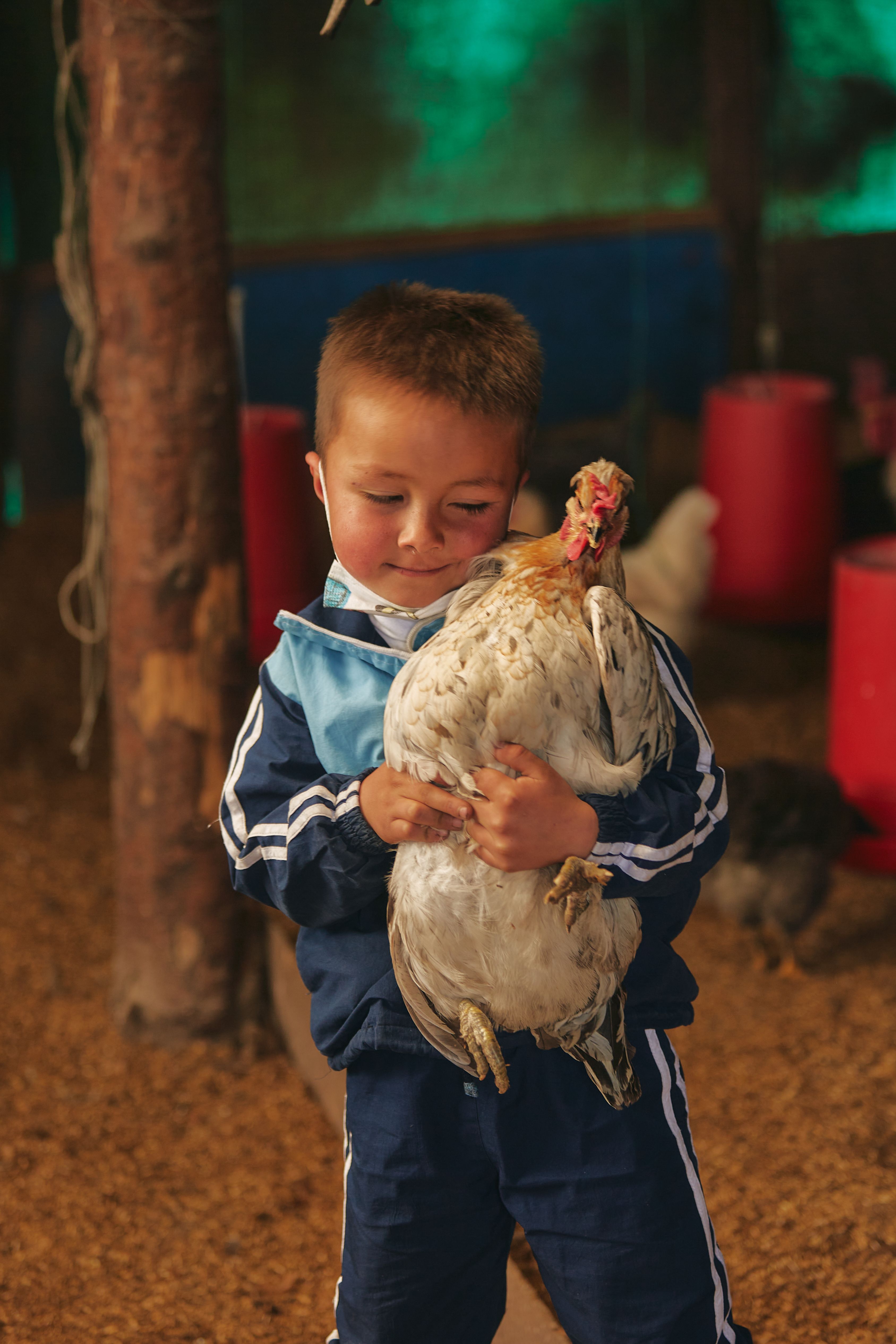 Boy With Animals Photos, Download The BEST Free Boy With Animals Stock ...