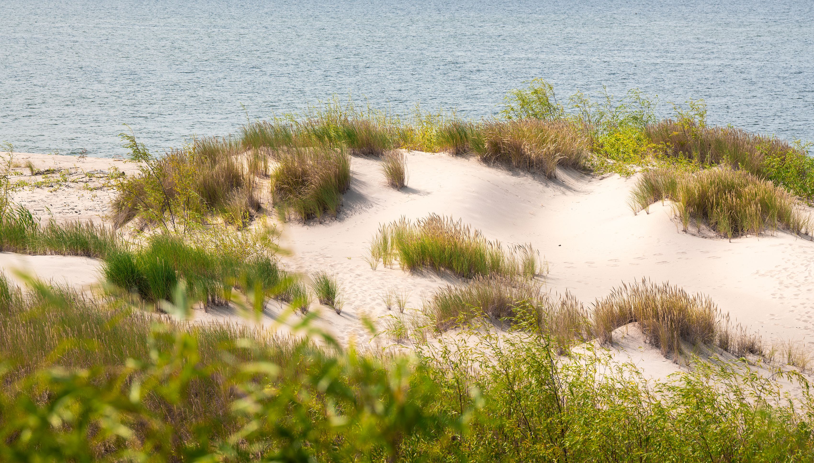 Clean sand on Baltic Sea dunes. Natural background. · Free Stock Photo