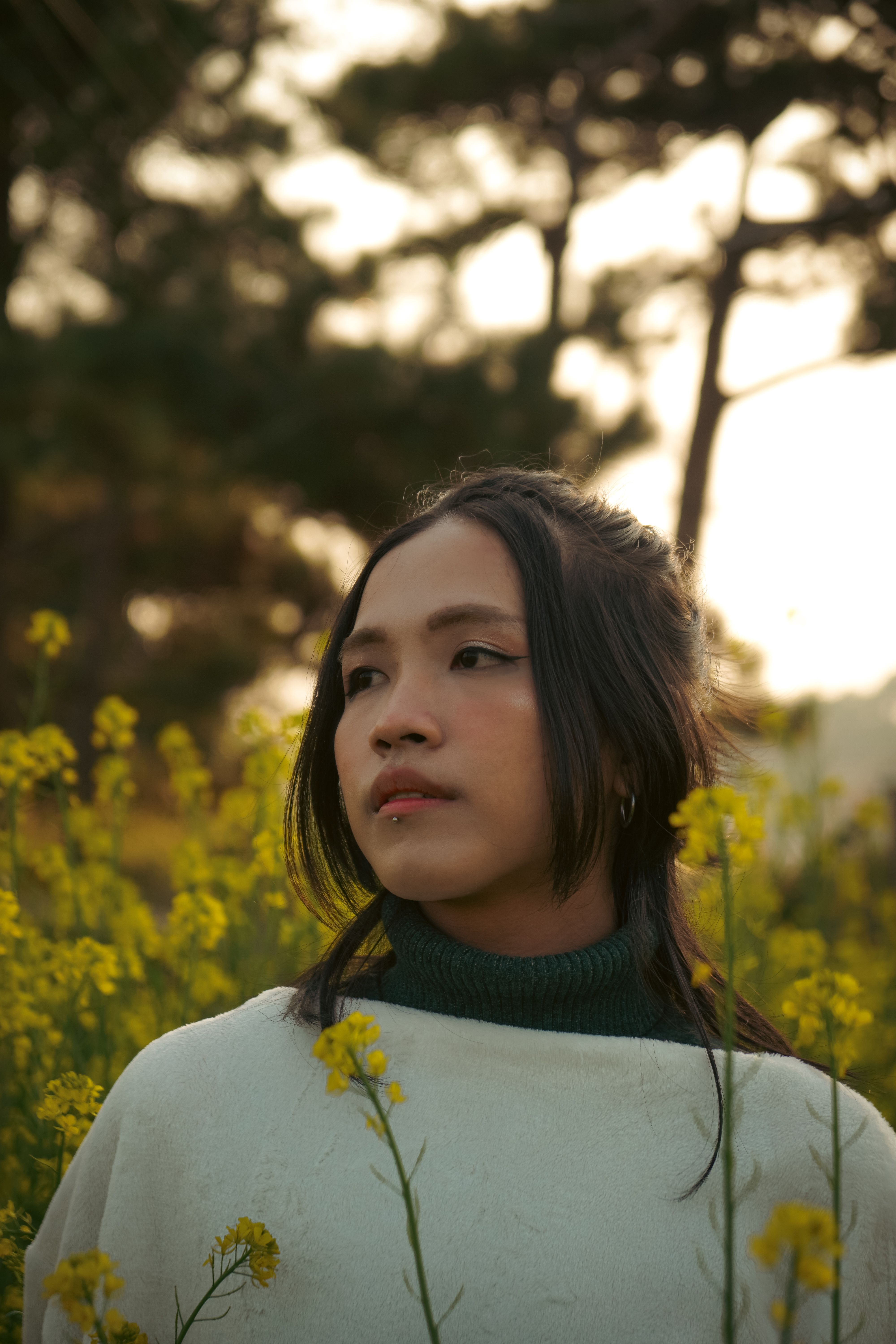 Bogang Photos, Download The BEST Free Bogang Stock Photos & HD Images