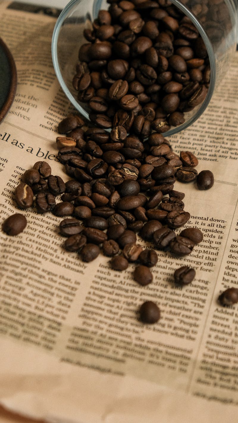 Coffe Beans Photos, Download The BEST Free Coffe Beans Stock Photos ...