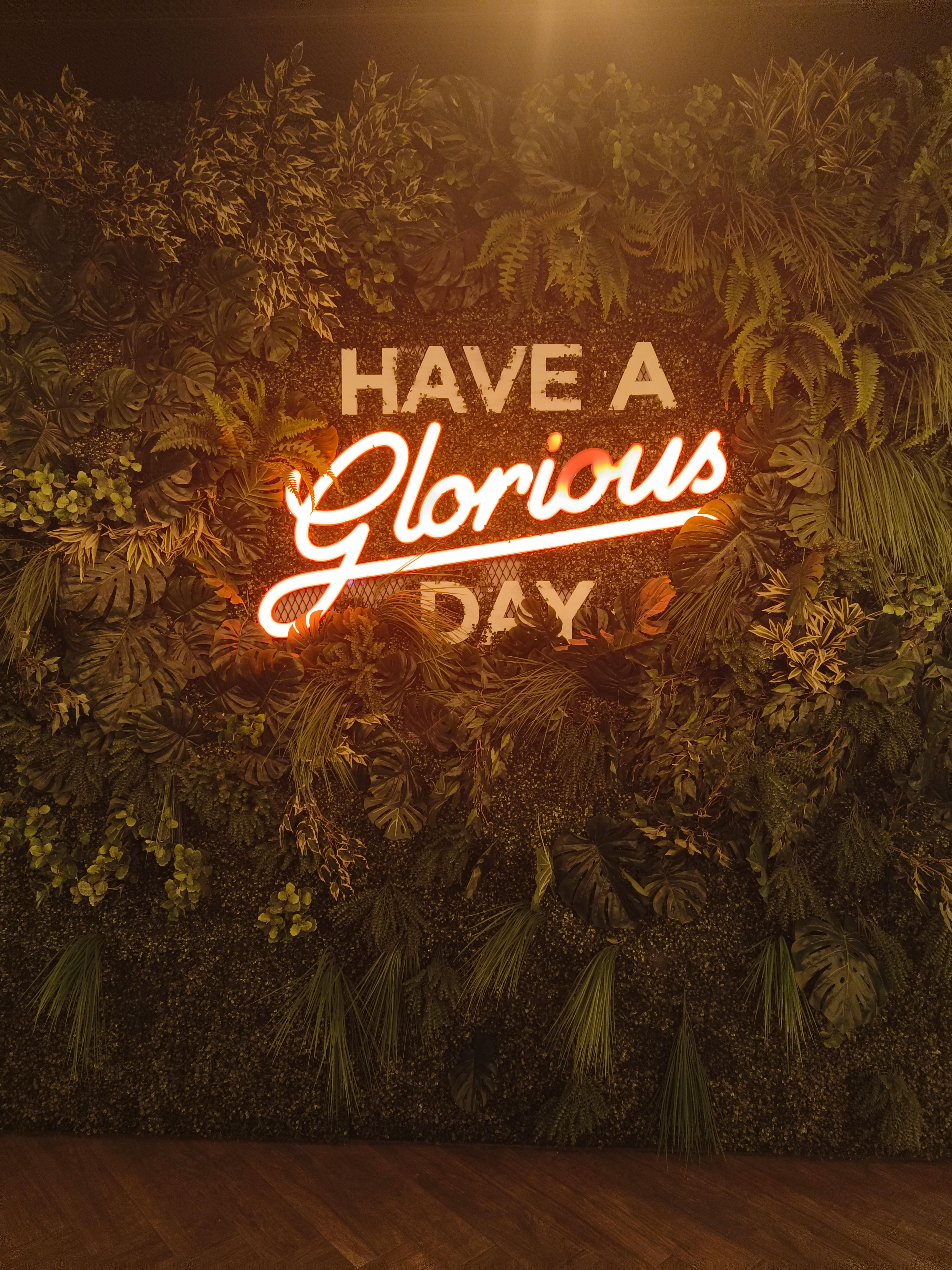 A neon sign that says have a glorious day · Free Stock Photo