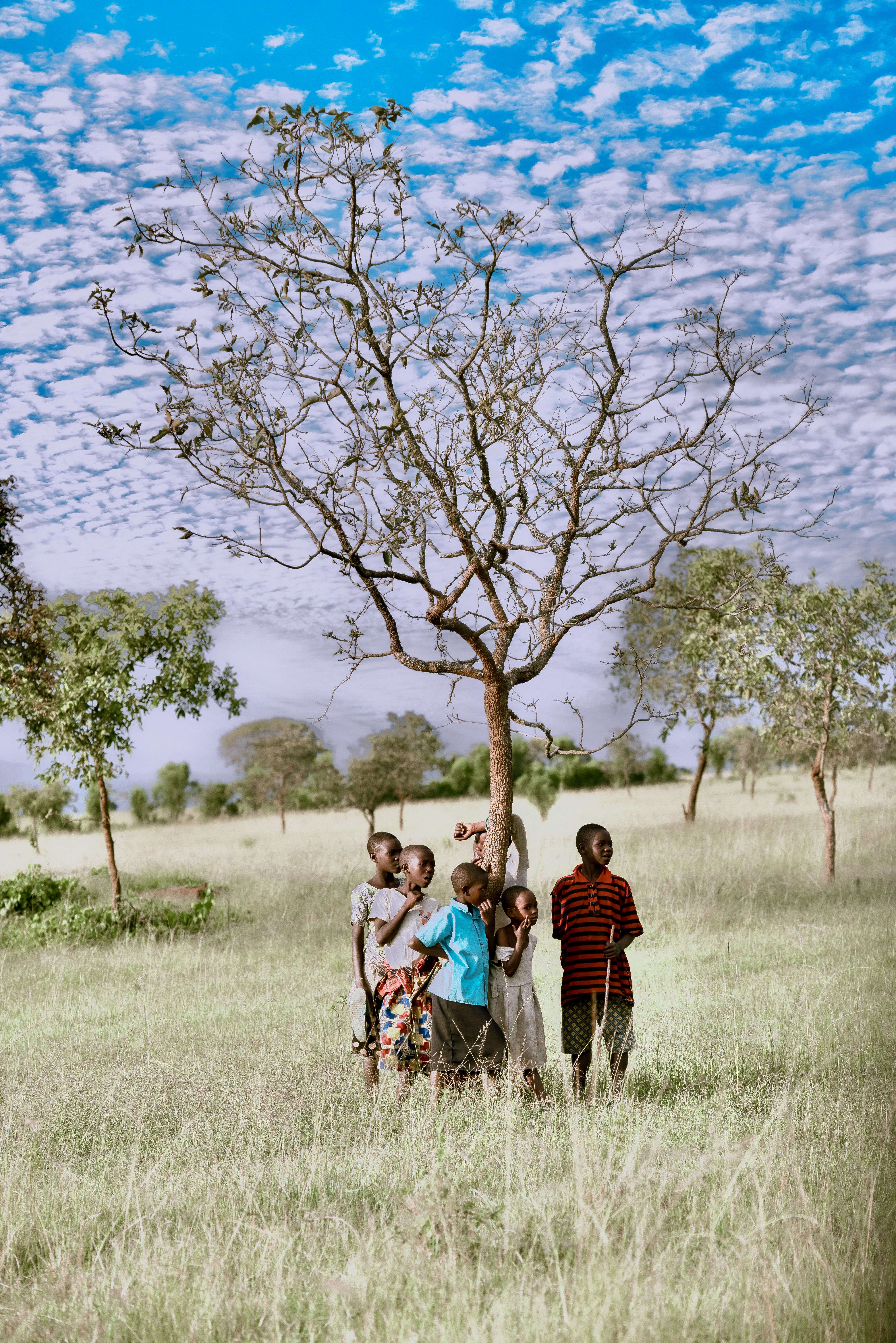 Free Brochure For Children Photos, Download The BEST Free Free Brochure ...
