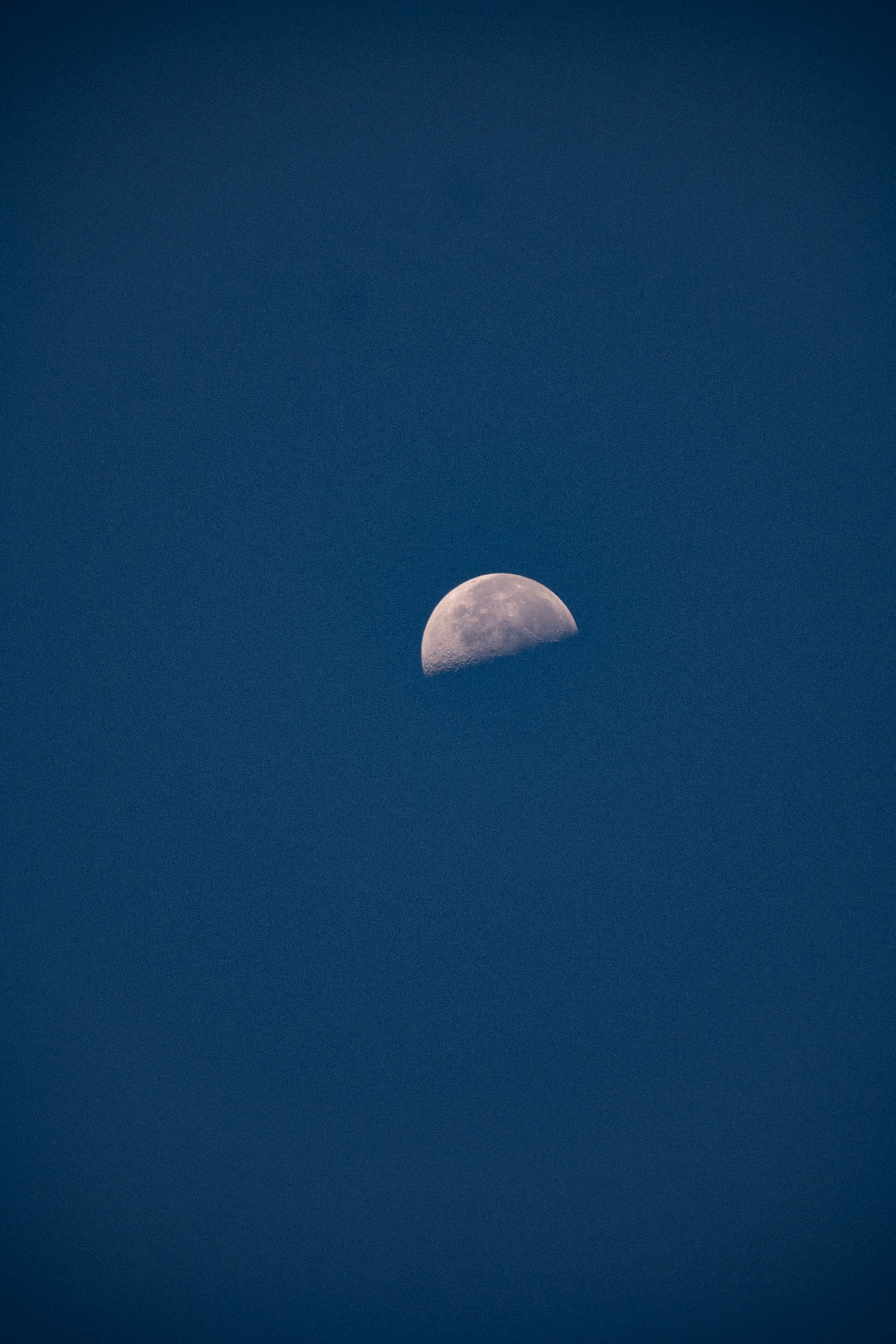 Spotted moon in violet sky in evening · Free Stock Photo