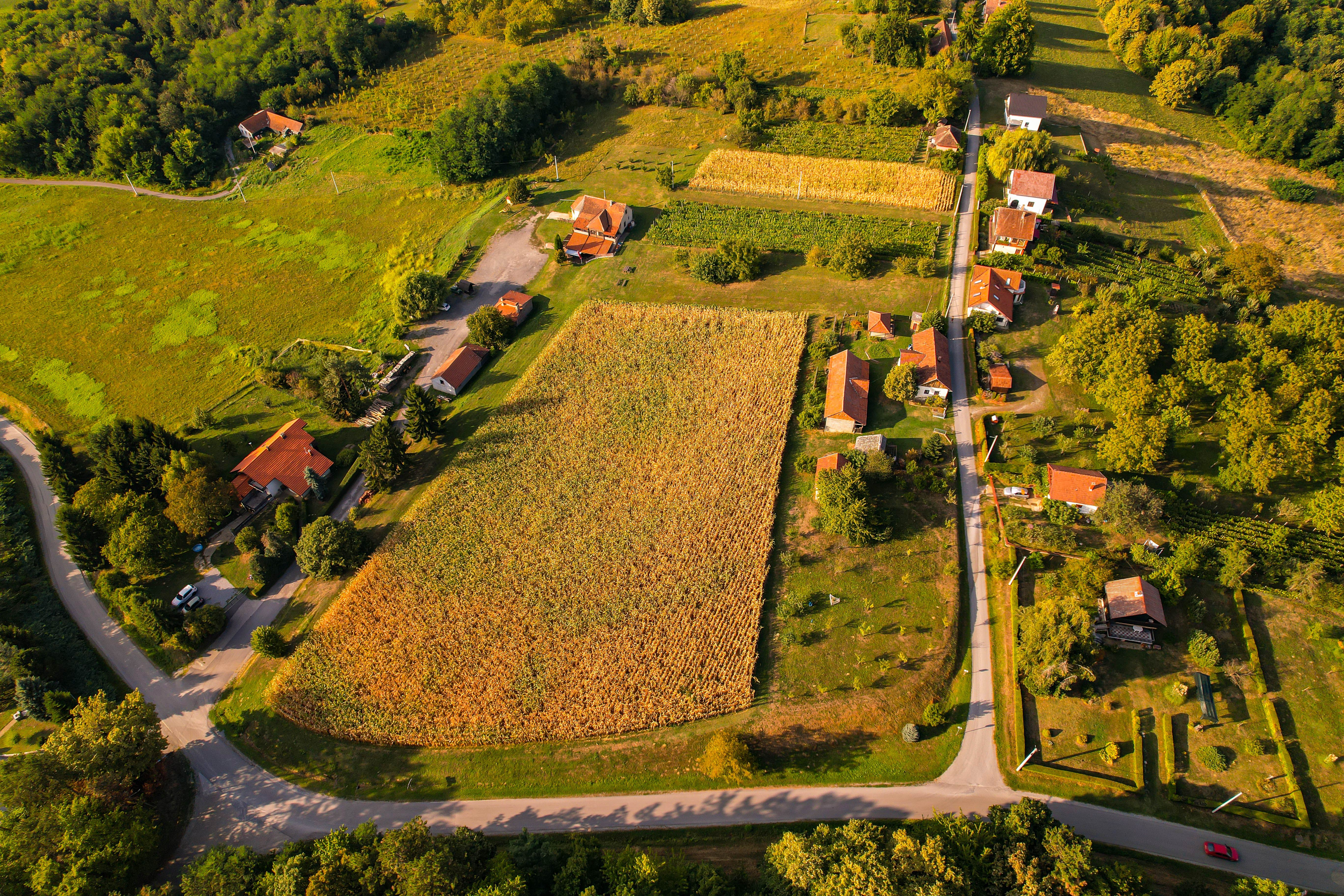 Aerial view of a rural area with a farm and a field · Free Stock Photo