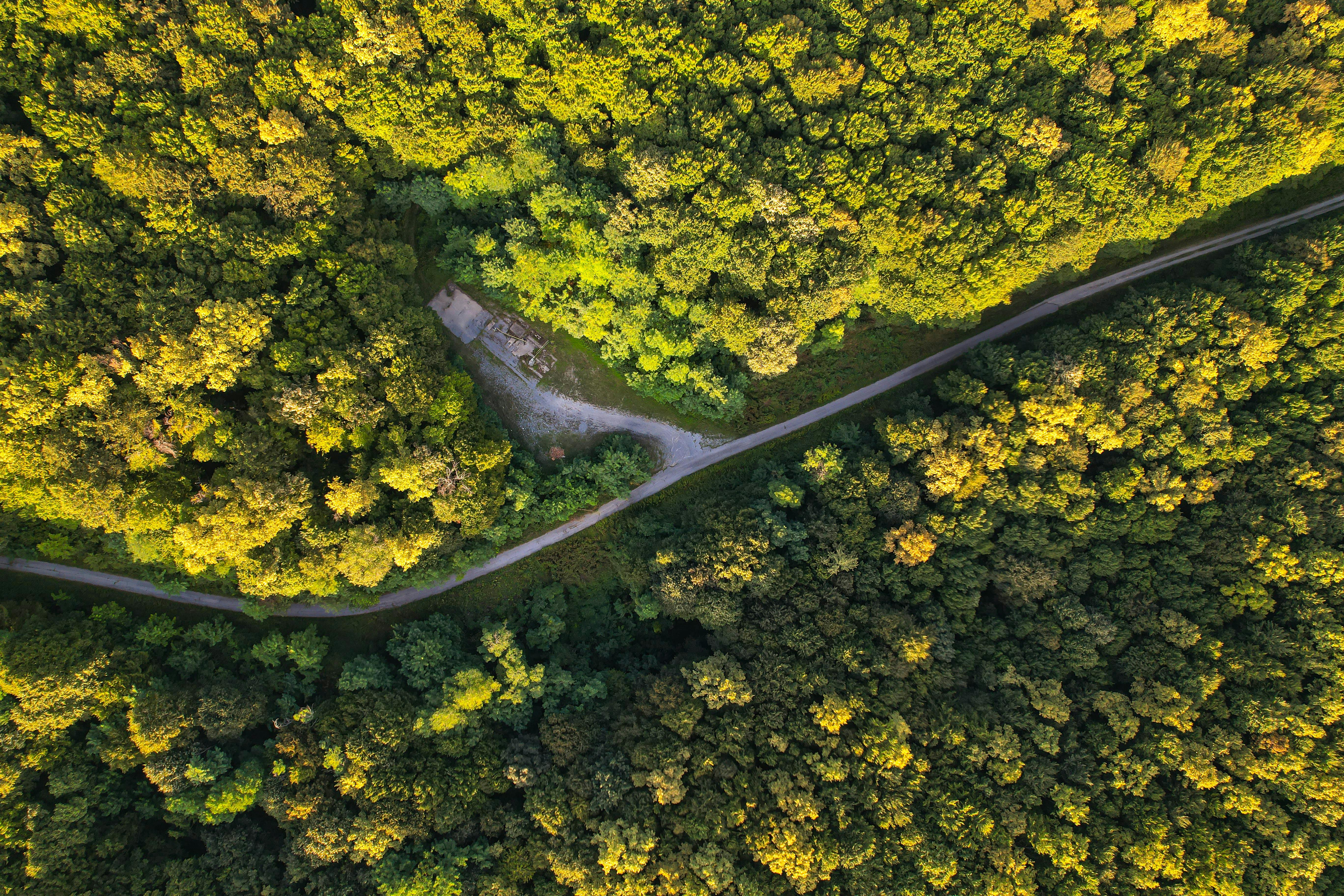 Overview Photos, Download The BEST Free Overview Stock Photos & HD Images