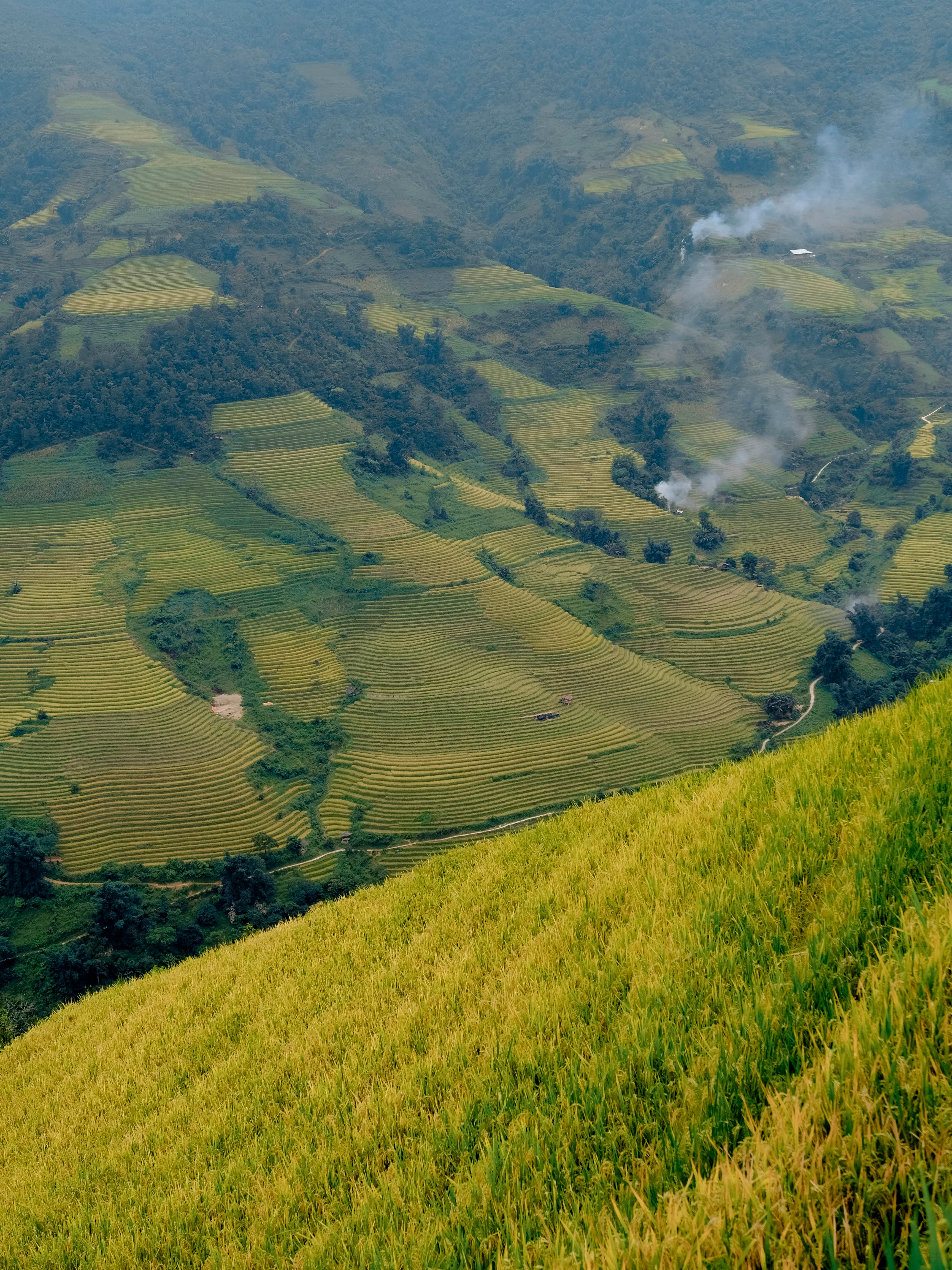 Cropping System Photos, Download The BEST Free Cropping System Stock ...