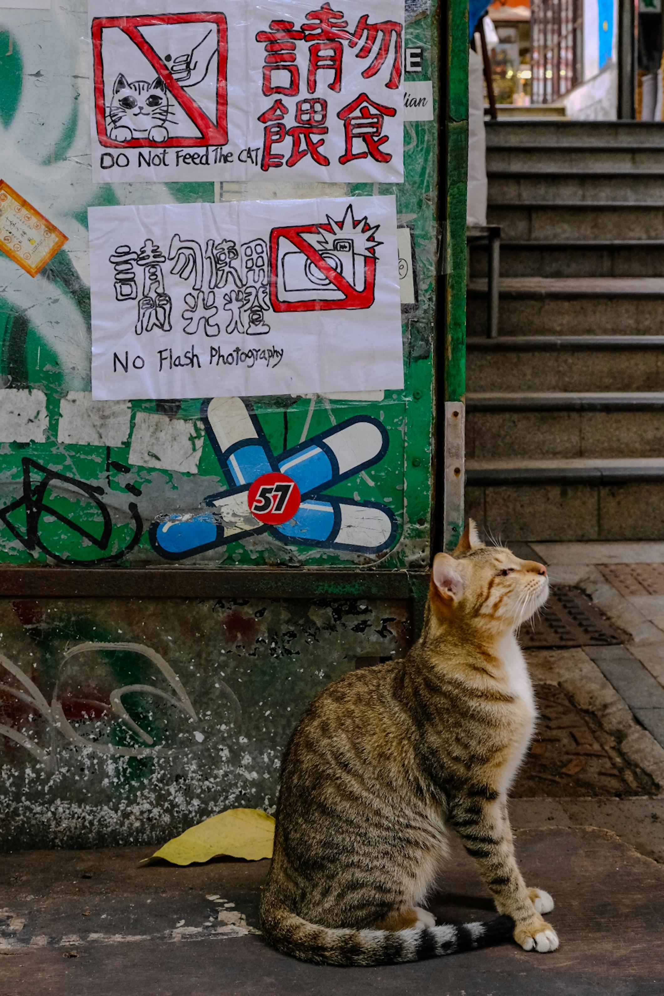 Chinese Animal Sign Photos, Download The BEST Free Chinese Animal Sign ...