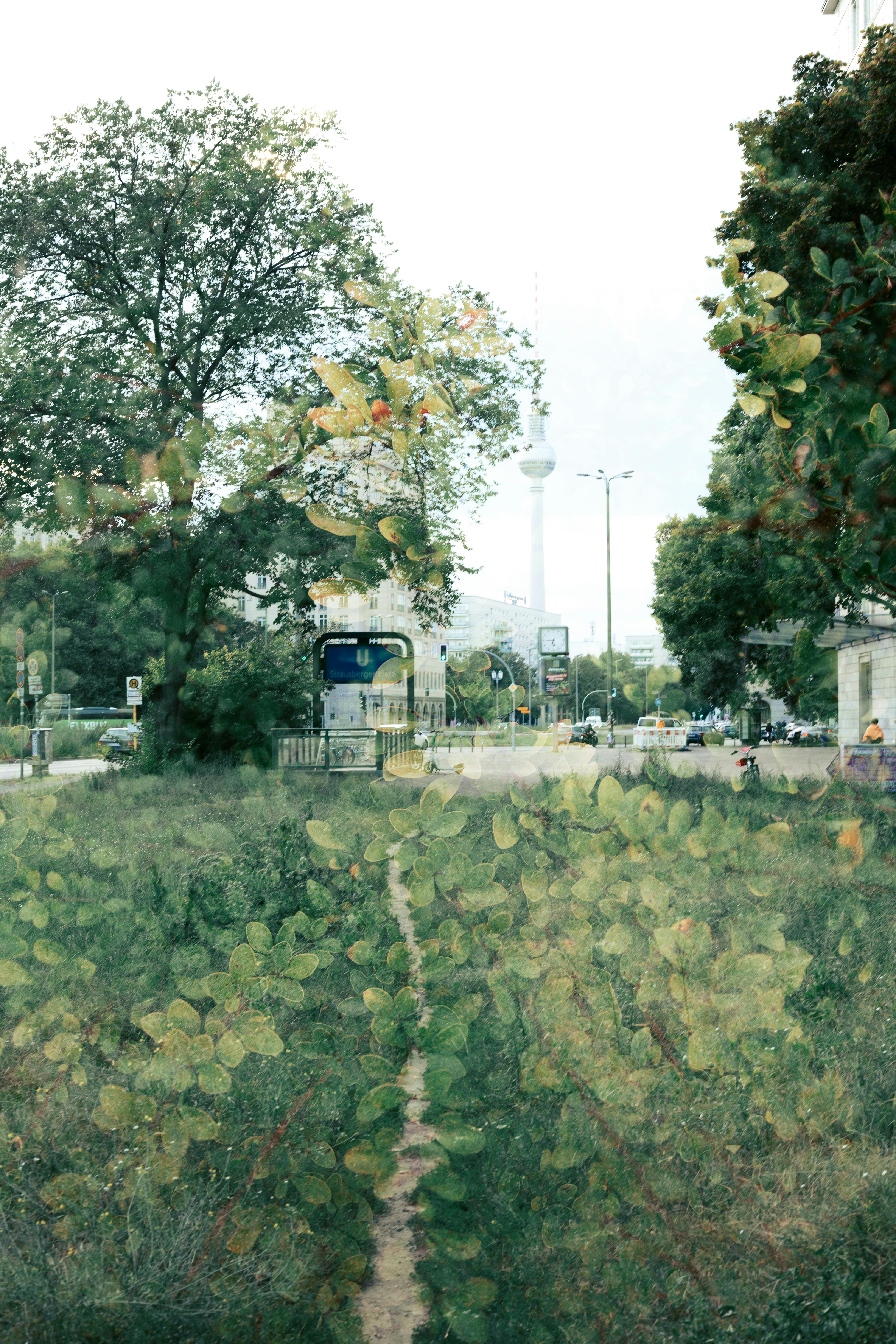 Falling Leaf Overlay Photos, Download The BEST Free Falling Leaf ...