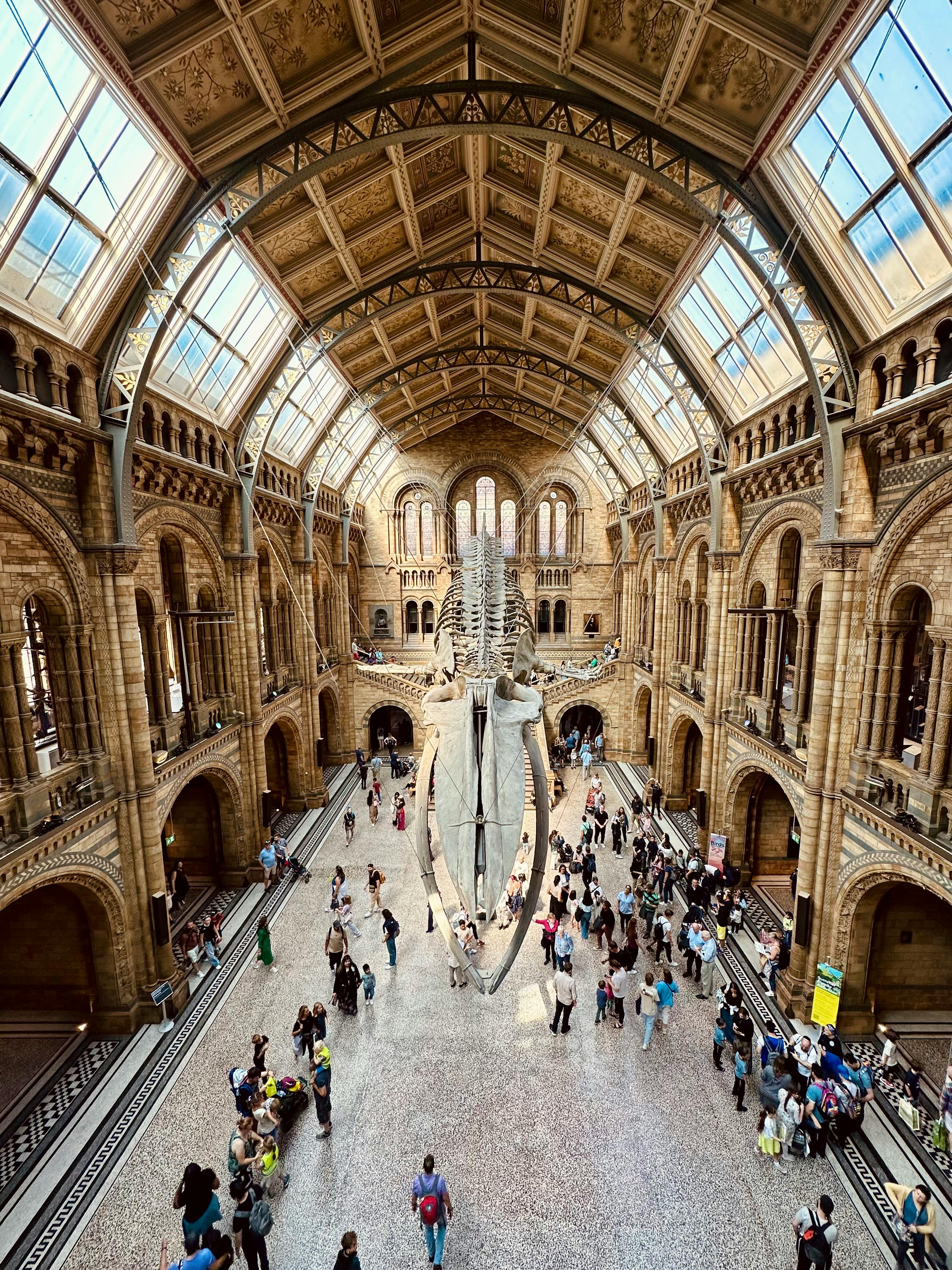 Photo of People Walking Inside the Building · Free Stock Photo