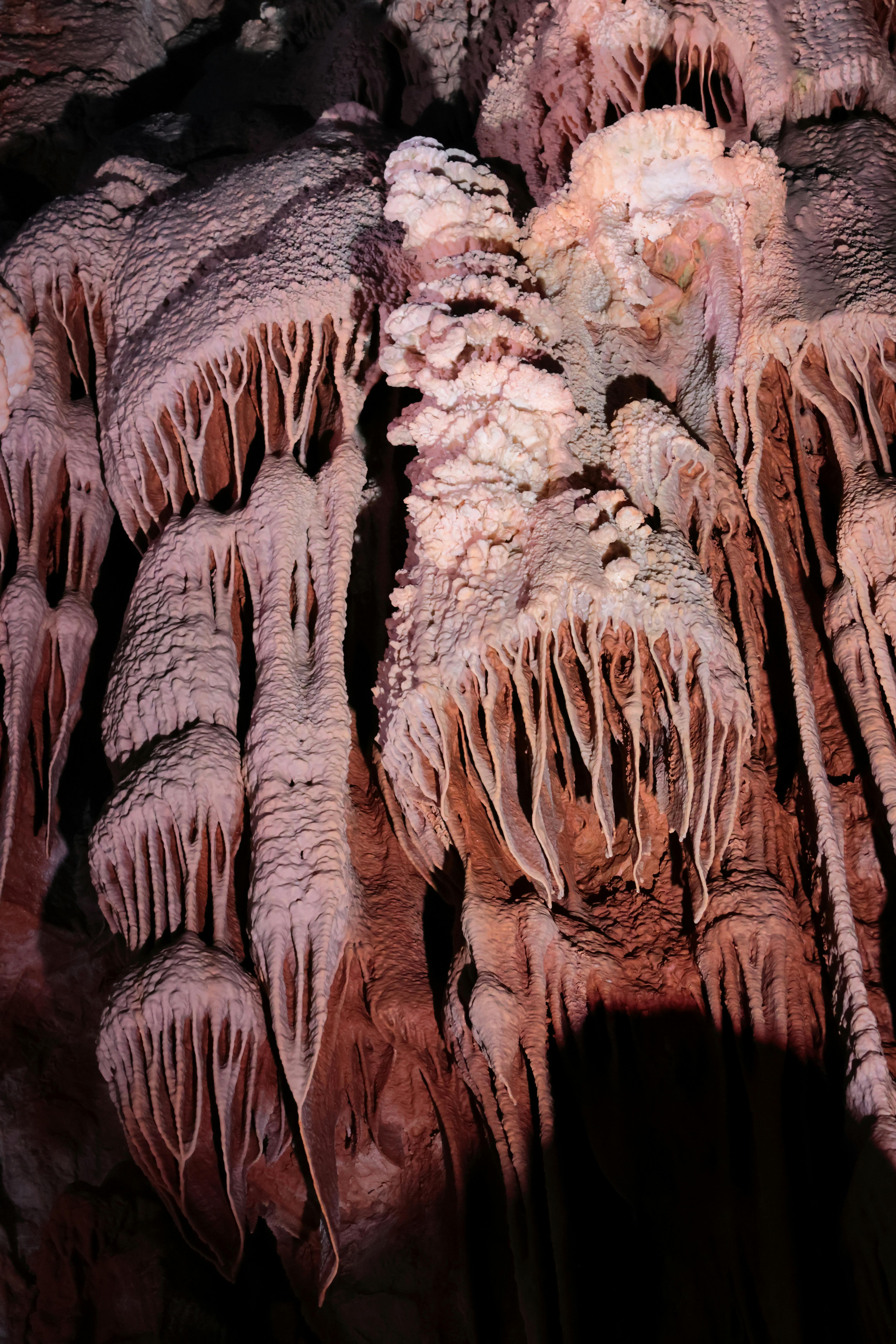 Arched cave with rocky walls · Free Stock Photo