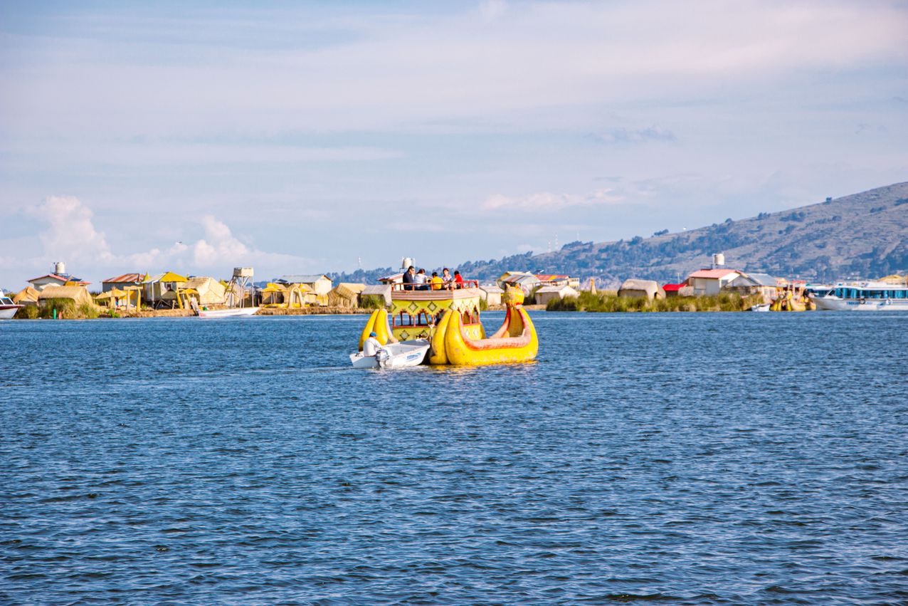 Titicaca Water Frog: Largest Aquatic Amphibian in the World