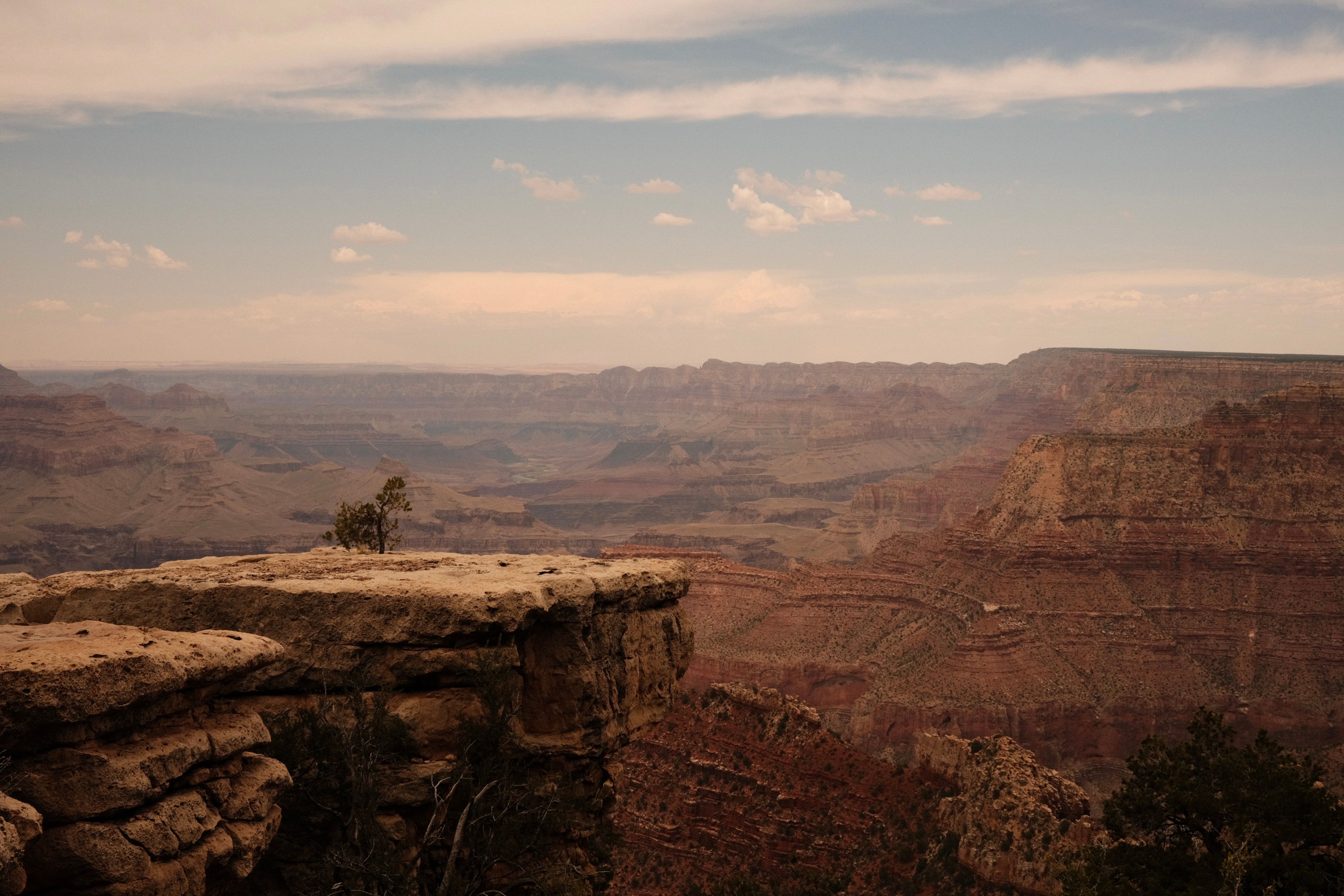 A person standing on a ledge overlooking the grand canyon · Free Stock ...