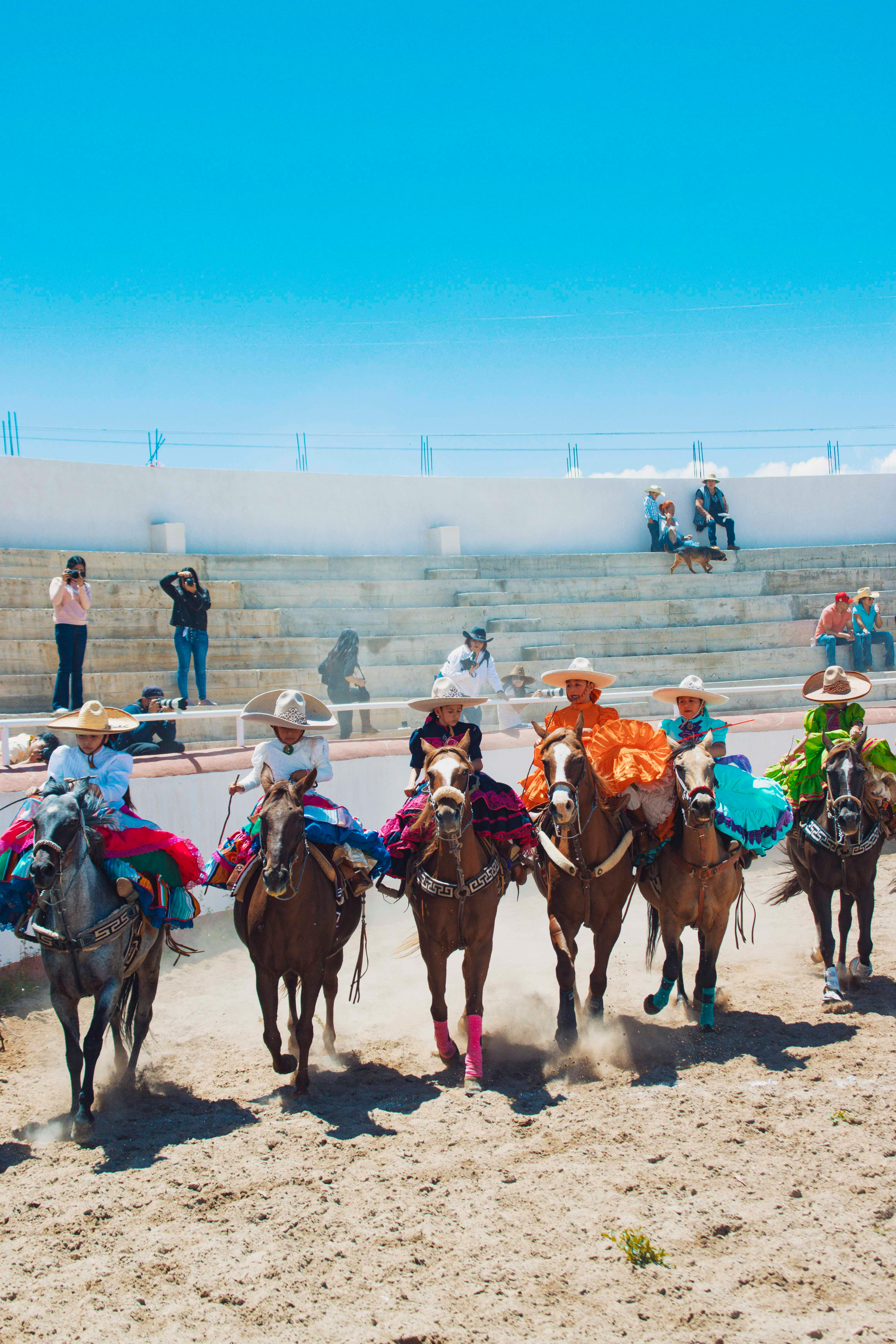 Caballo De Rodeo Photos, Download The BEST Free Caballo De Rodeo Stock ...