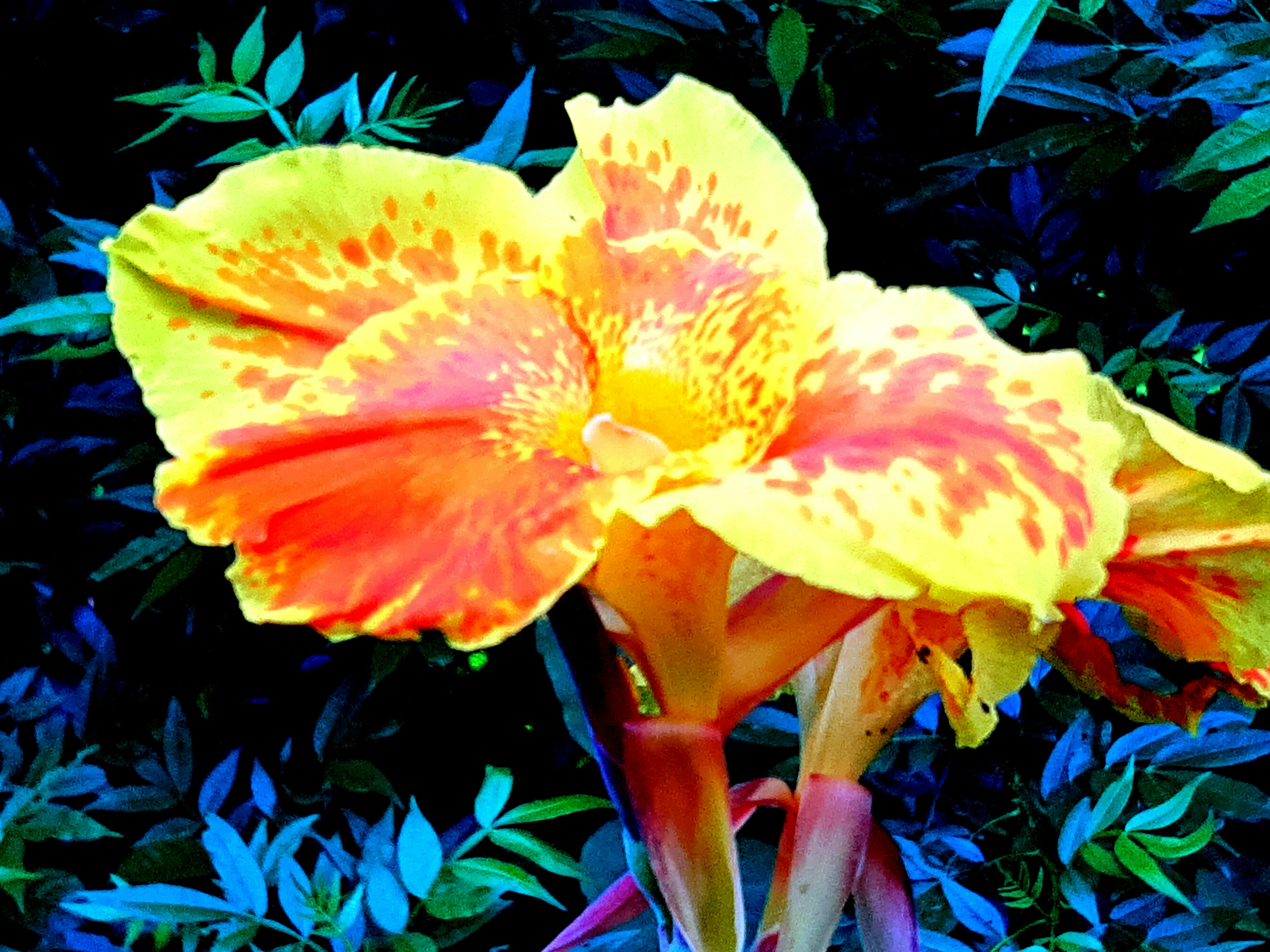 Bhupender Singh Jarial - Photography