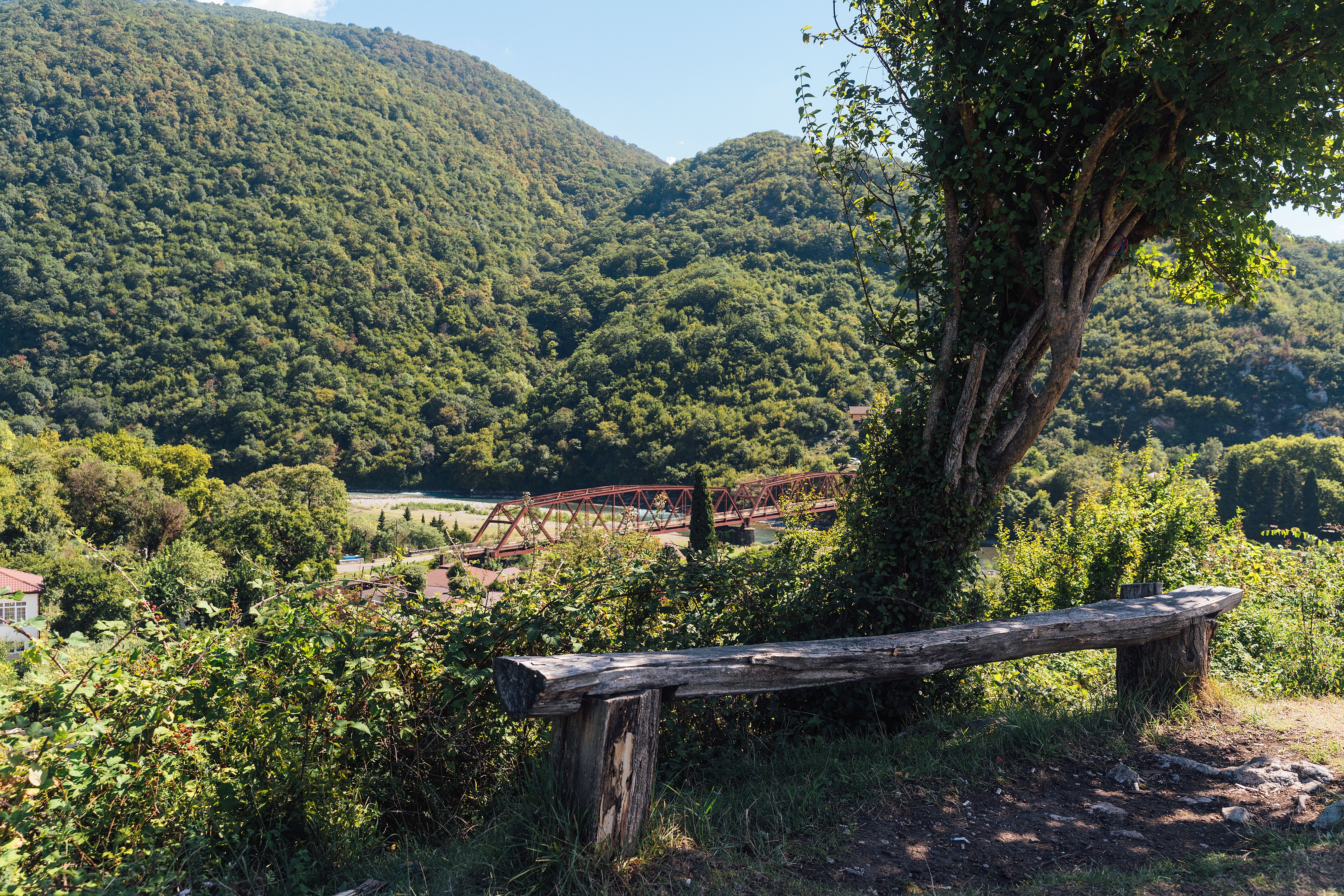 A bench is sitting on a hillside overlooking a valley · Free Stock Photo