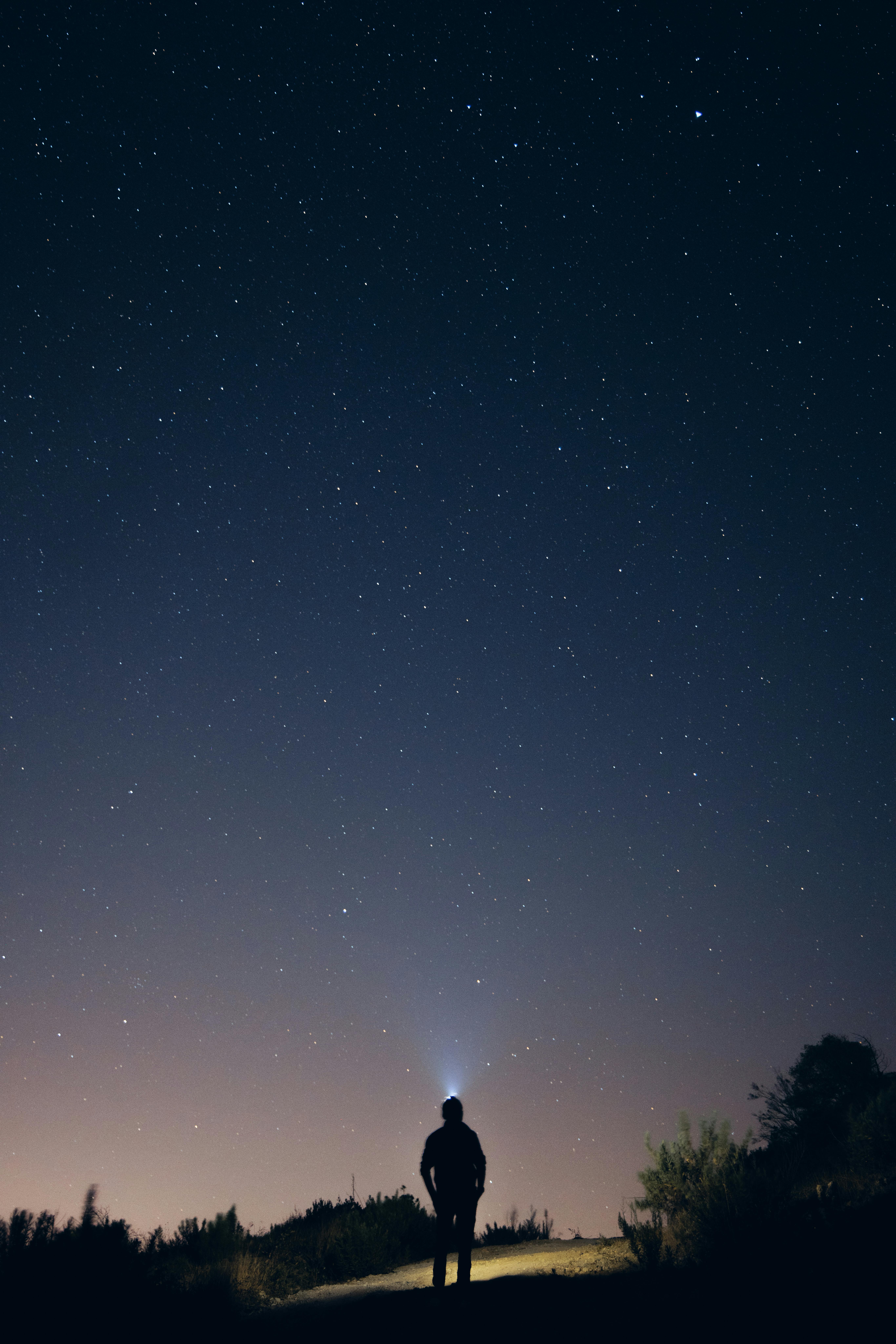 Silhouette of Person Looking at Starry Sky at Night · Free Stock Photo
