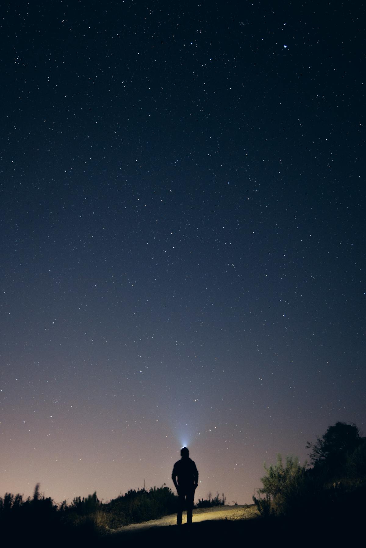 Person Gazing At A Starry Night Sky Photos, Download The BEST Free ...