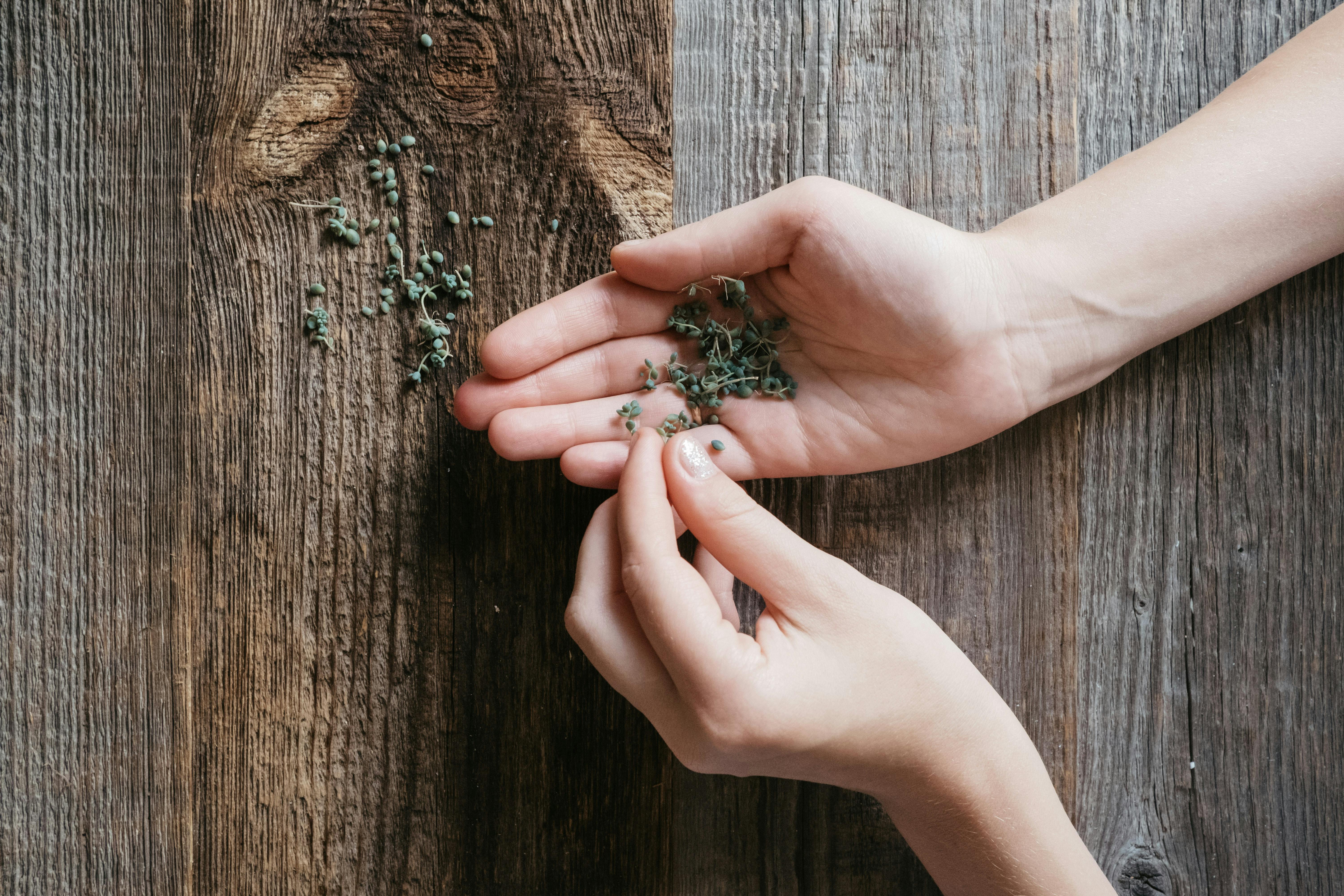 1000+ Great Brown Skin Photos · Pexels · Free Stock Photos