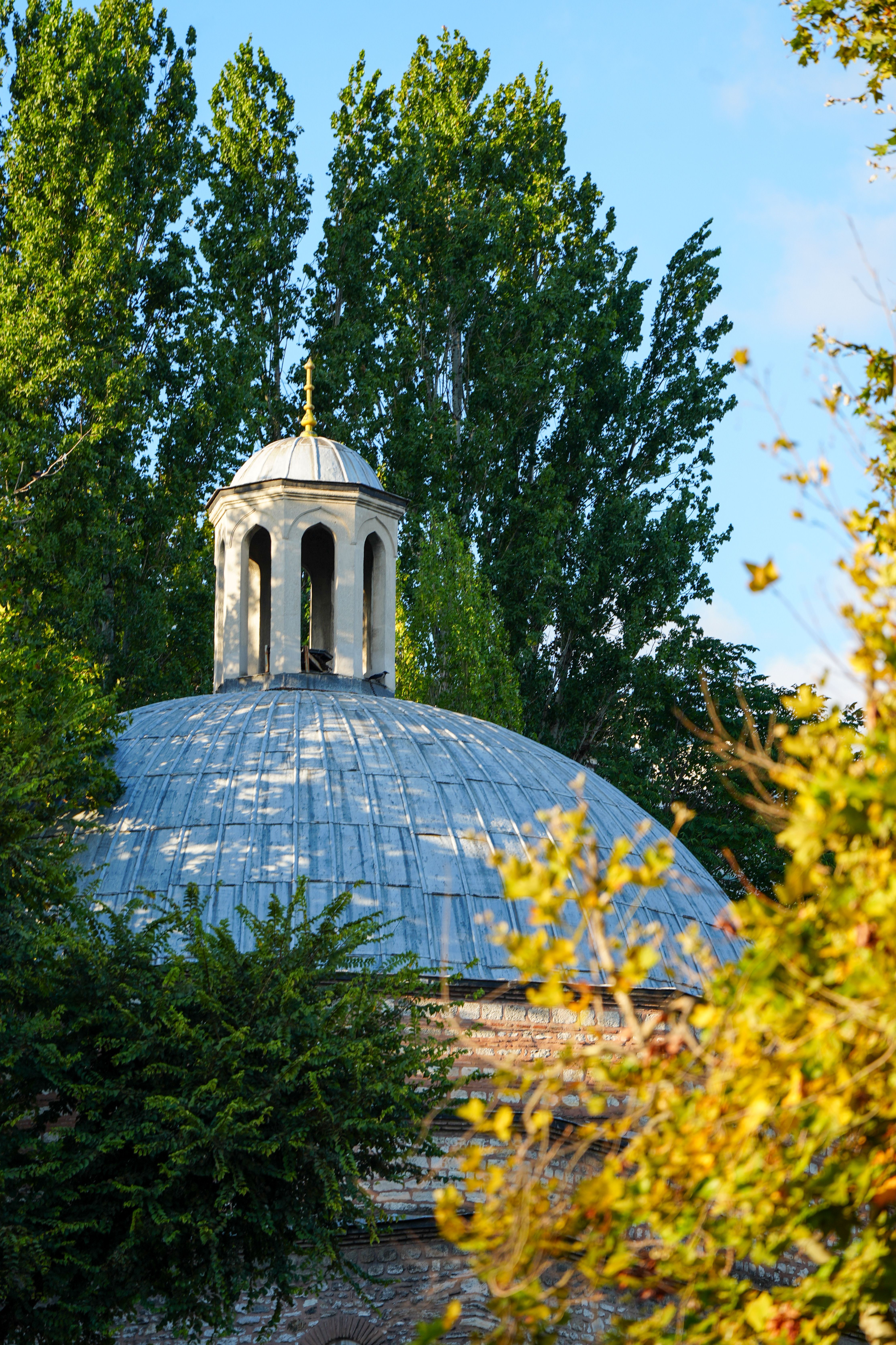 A dome with a tree in the background · Free Stock Photo