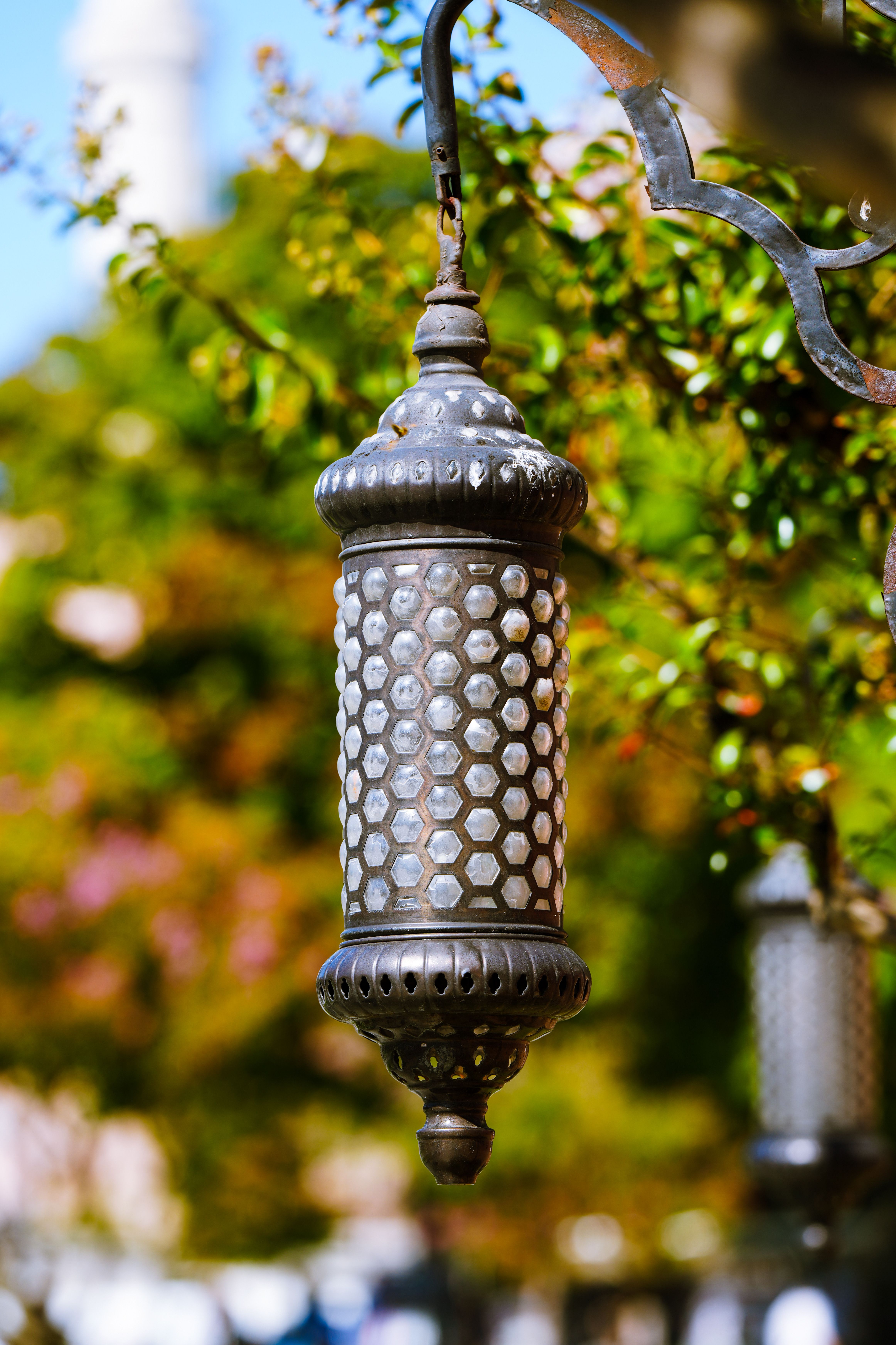 A hanging lantern with a green tree in the background · Free Stock Photo