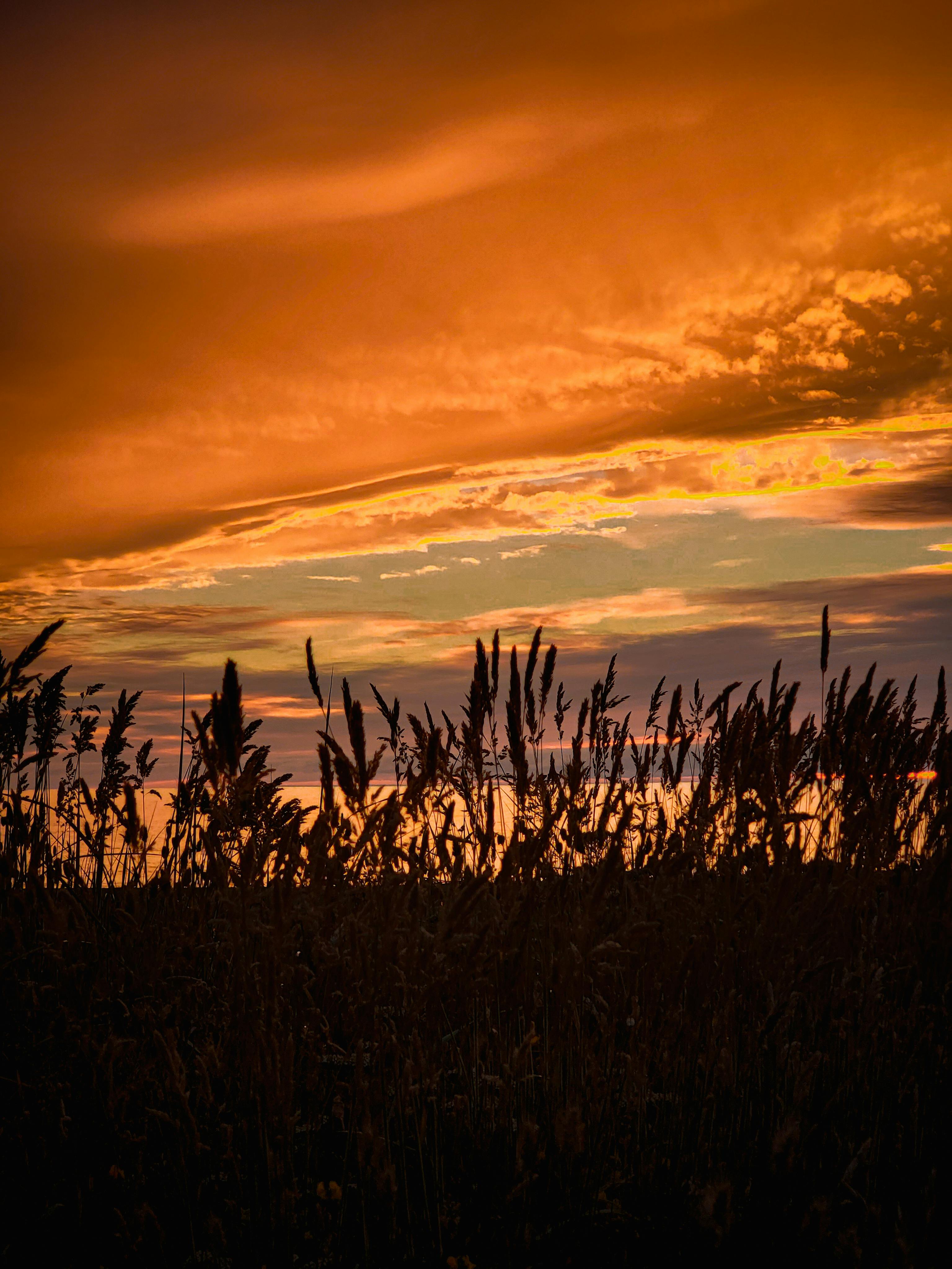 Mundane Photos, Download The BEST Free Mundane Stock Photos & HD Images