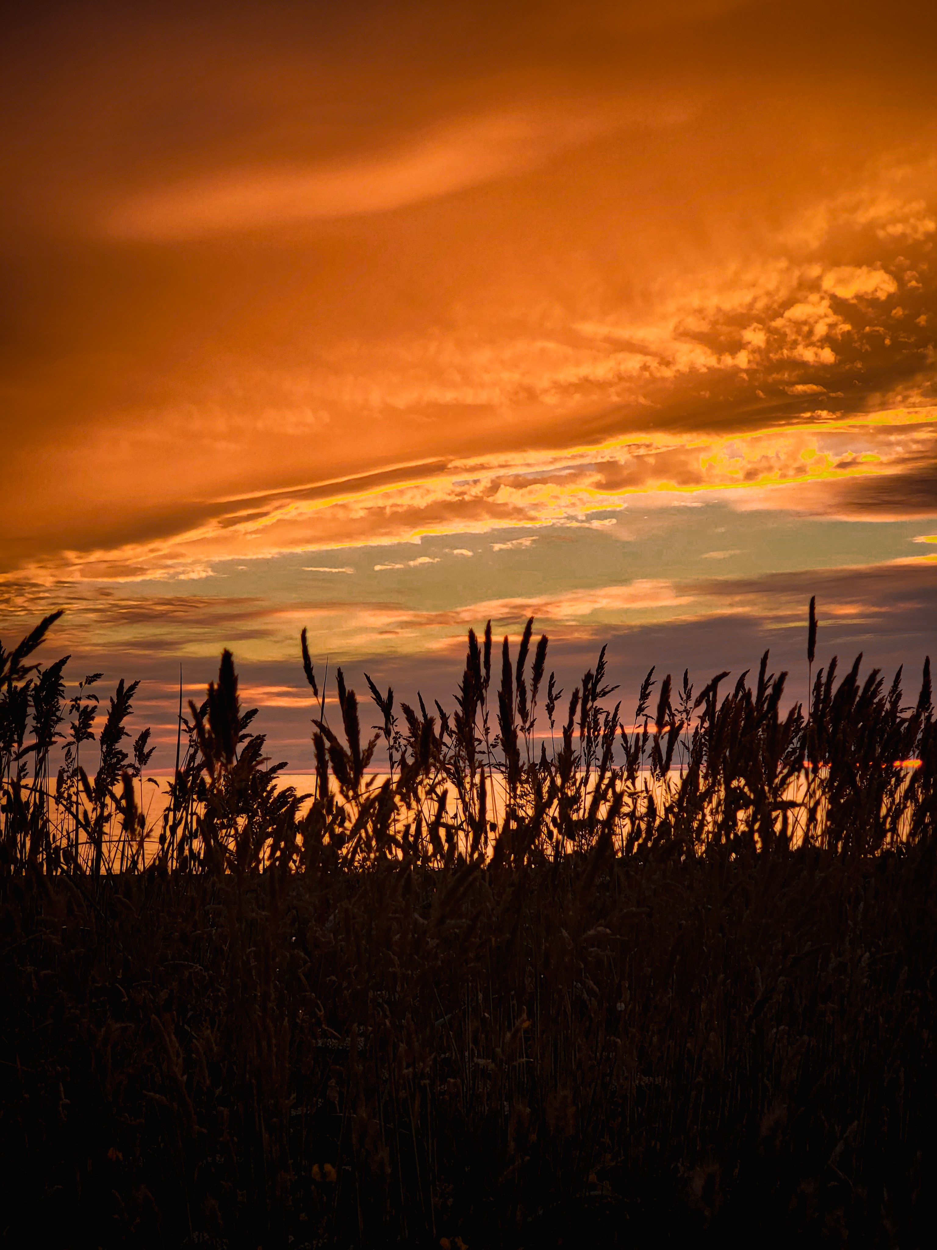 Sunset over the prairie · Free Stock Photo