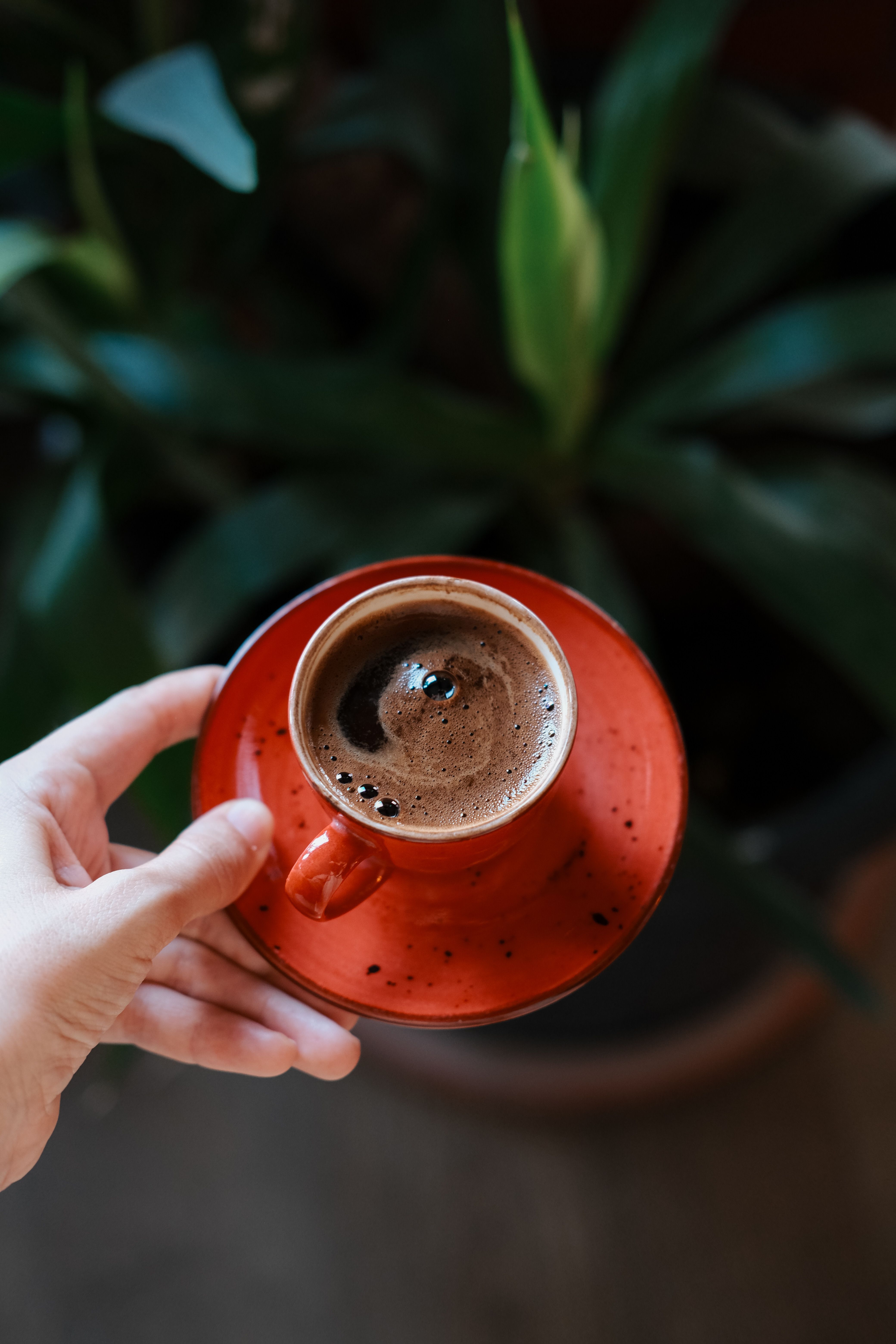 Coffee Cup Pnj Photos, Download The BEST Free Coffee Cup Pnj Stock ...
