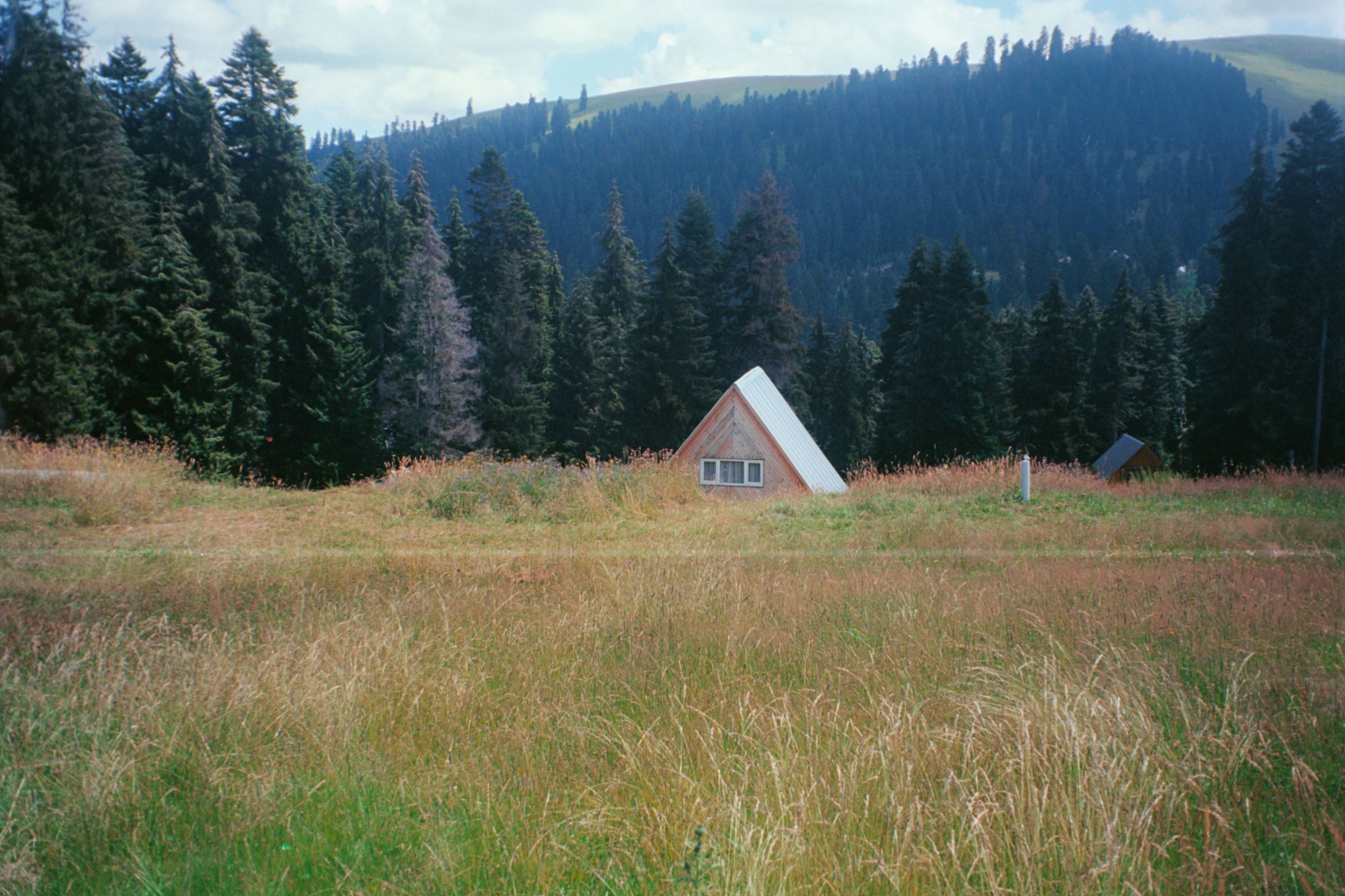 A small cabin in a field of tall grass · Free Stock Photo