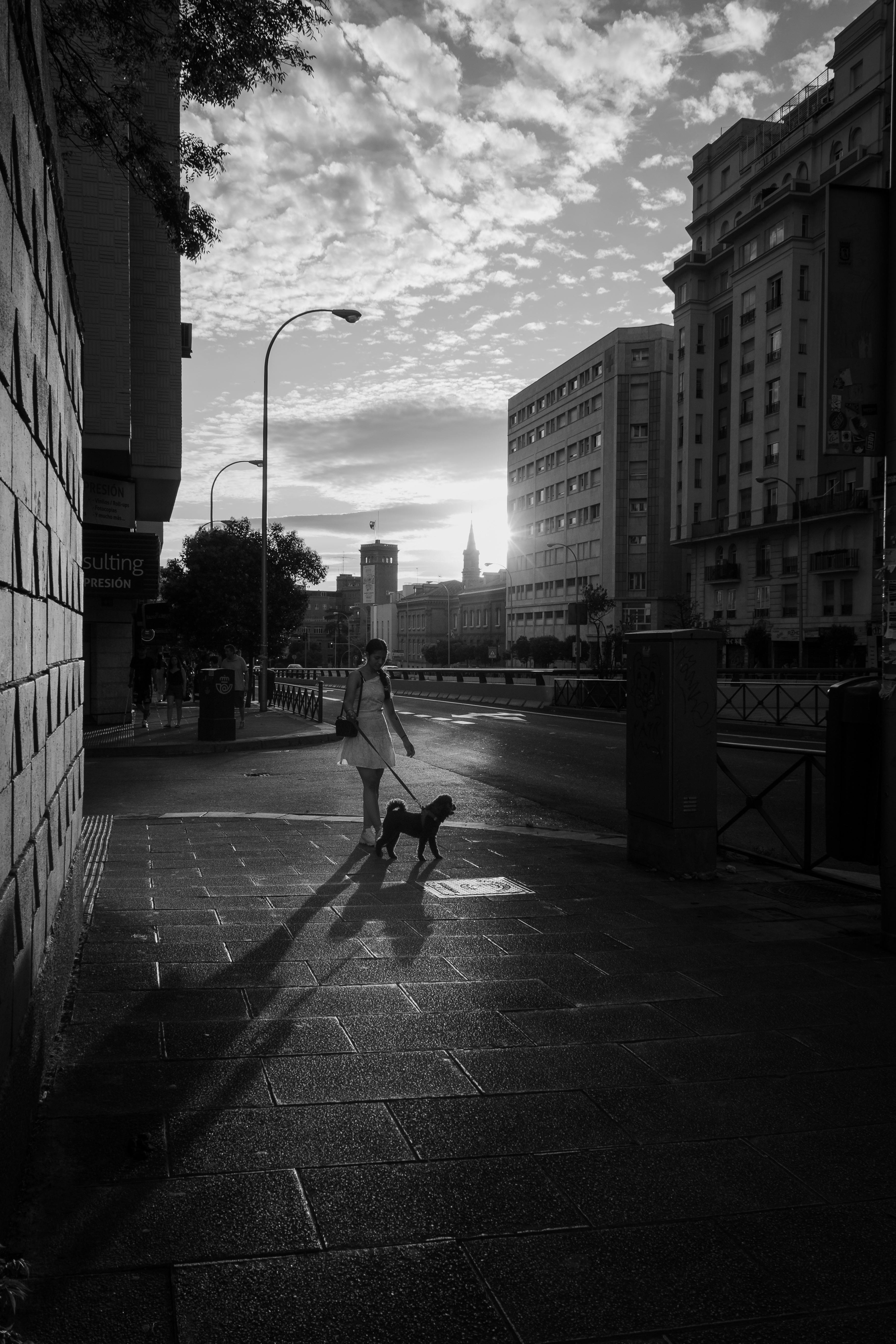 the city · Free Stock Photo