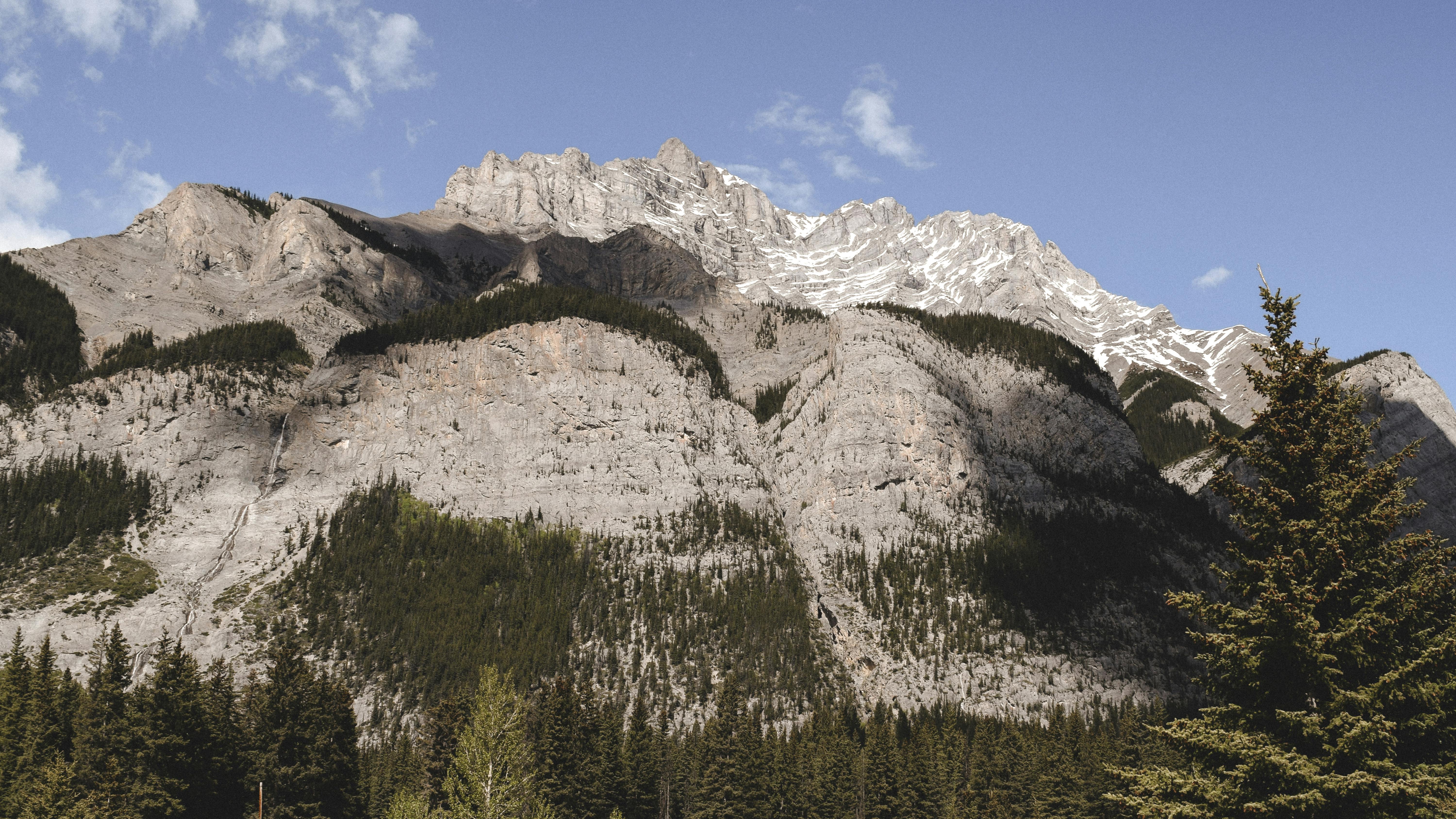 Running Free Mountain Tree 39 Aaron Run Tree Stock Photos, High Res