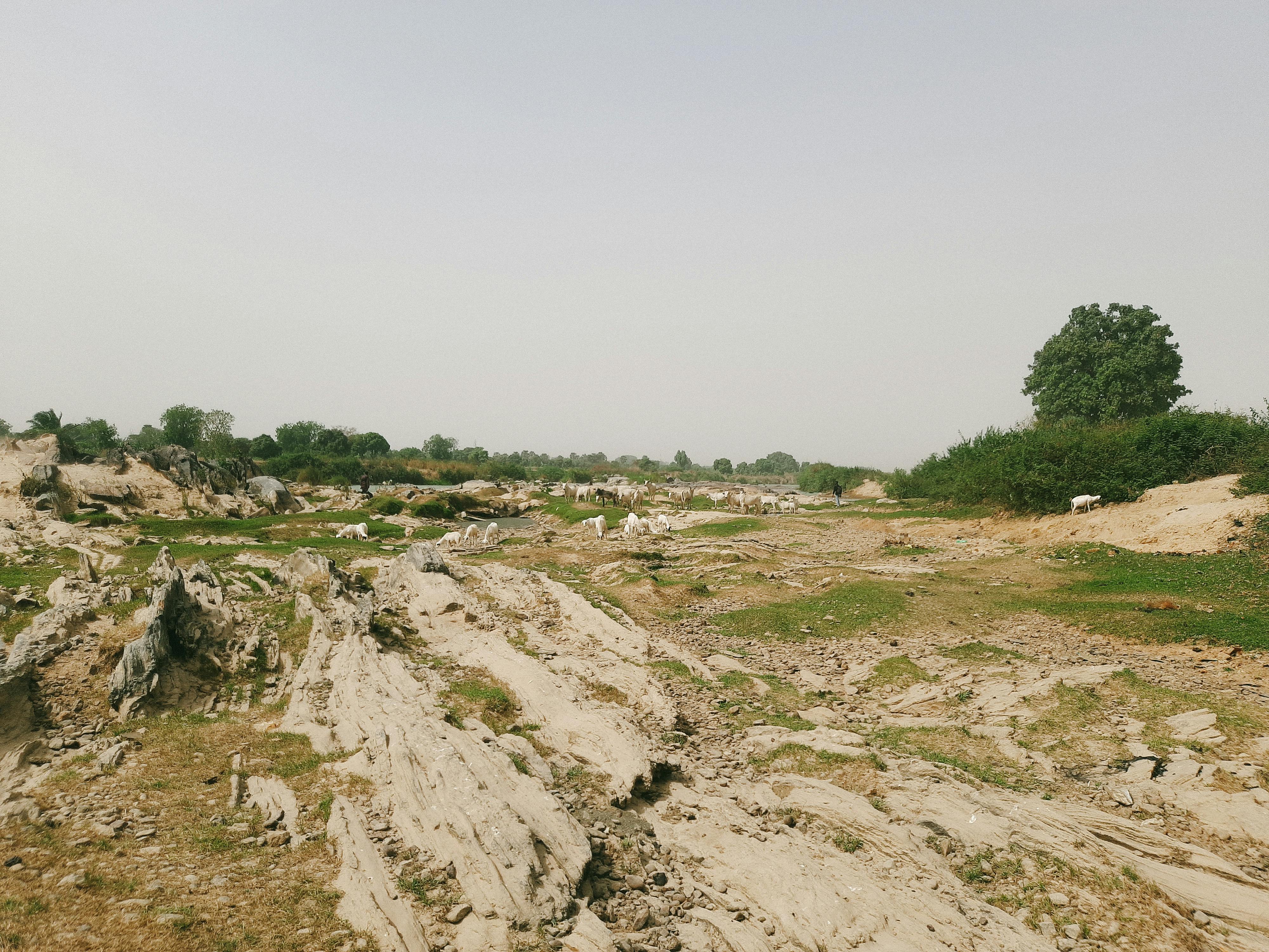 Strata · Free Stock Photo