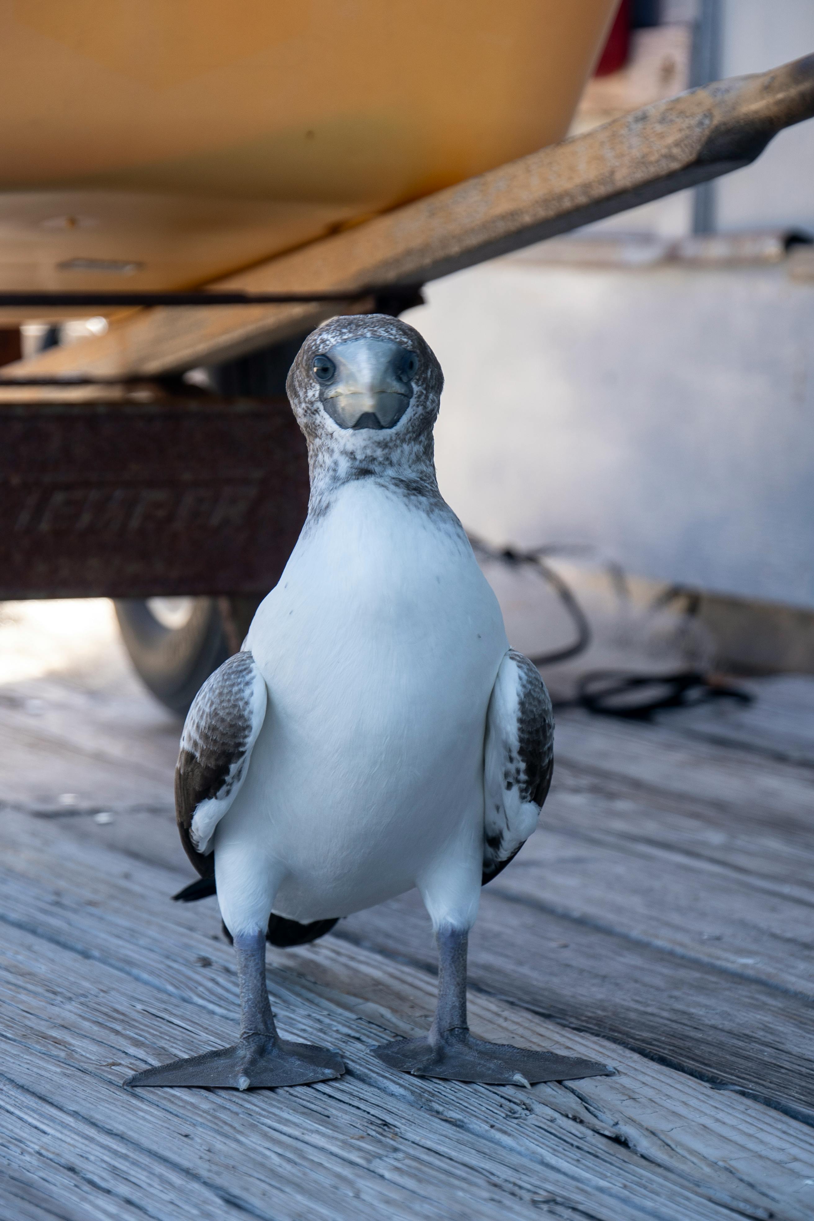 Web Island Photos, Download The BEST Free Web Island Stock Photos & HD ...