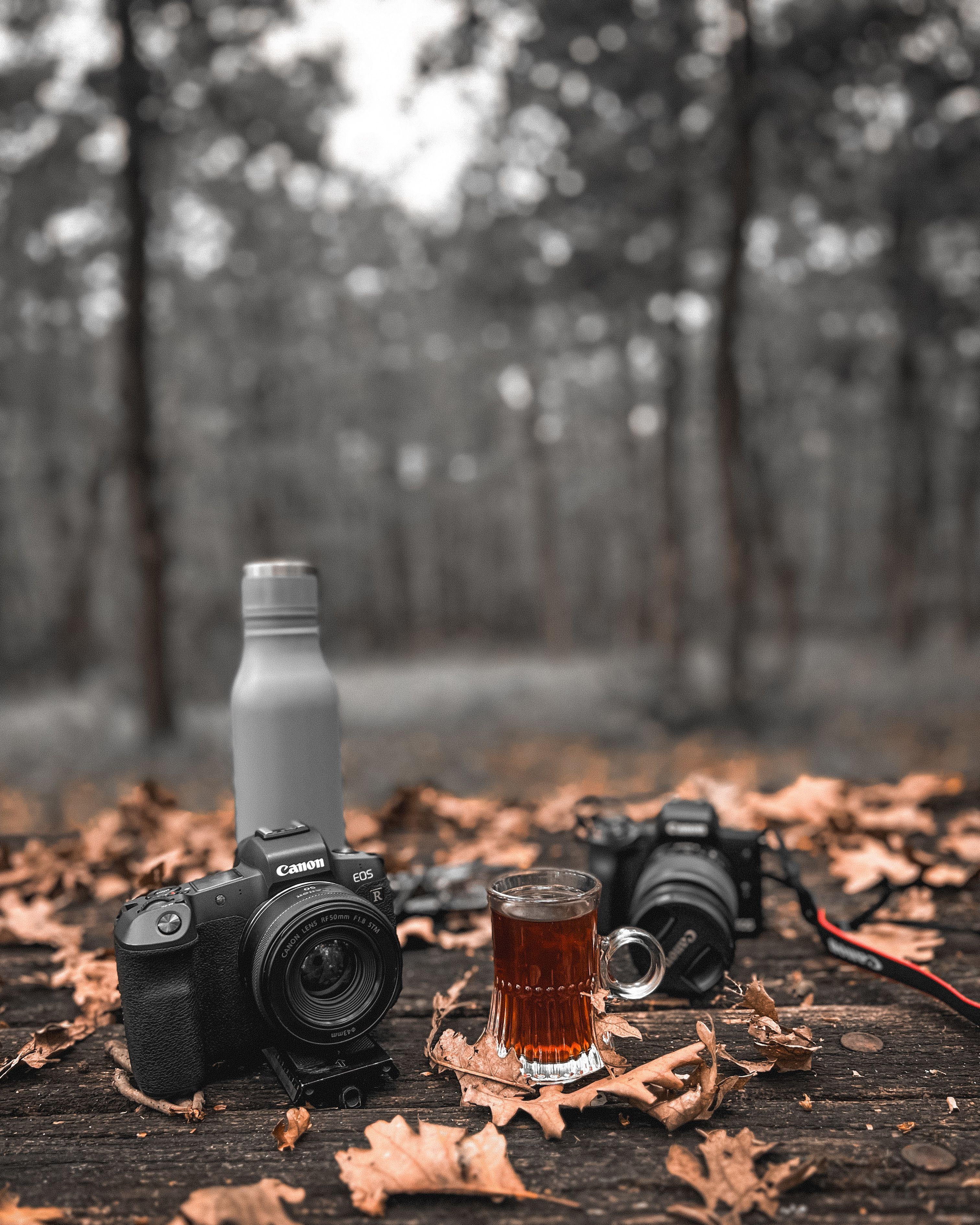 Two cameras and a mug sitting on a table in the woods · Free Stock Photo