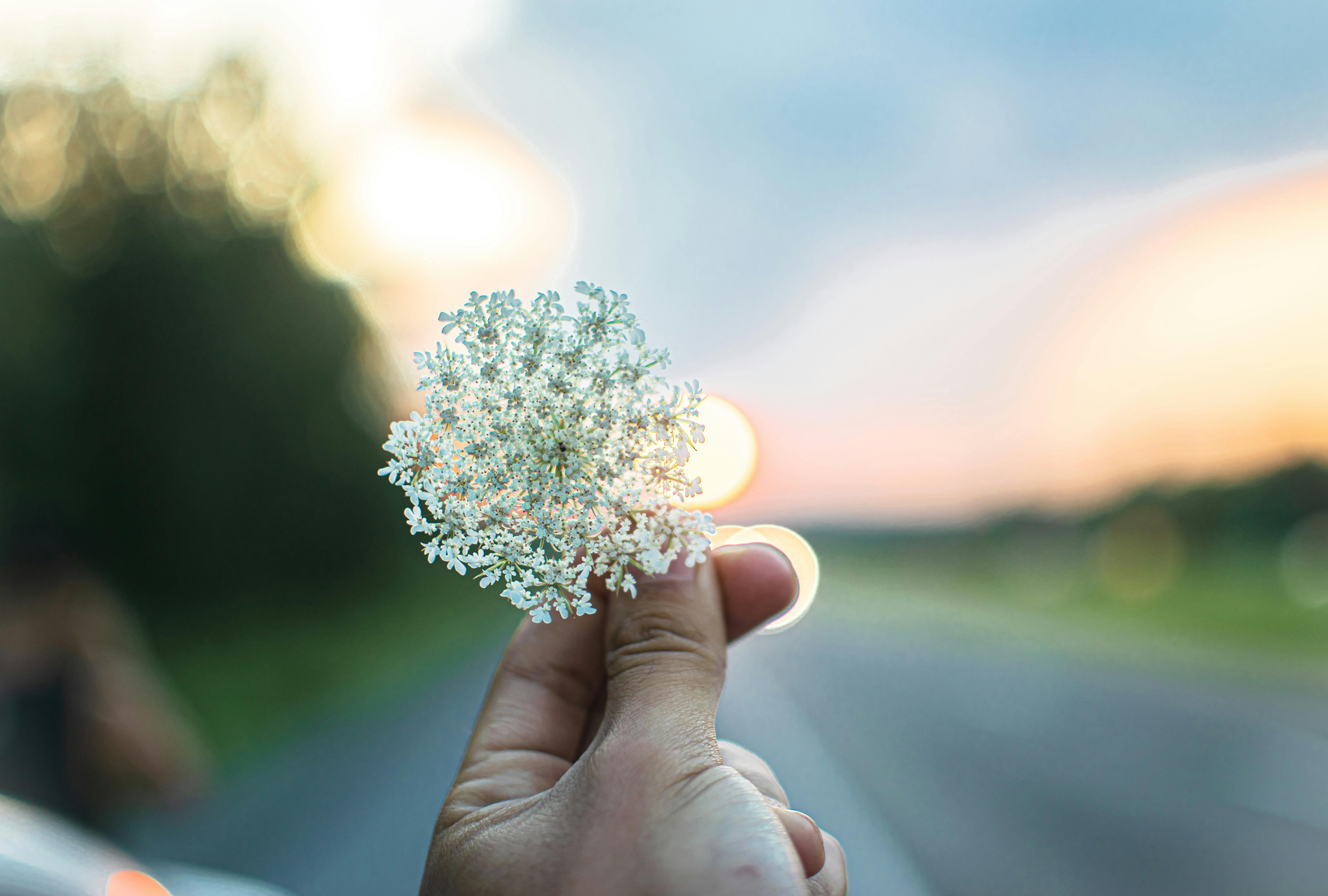 Sebastian Estrada - Photography