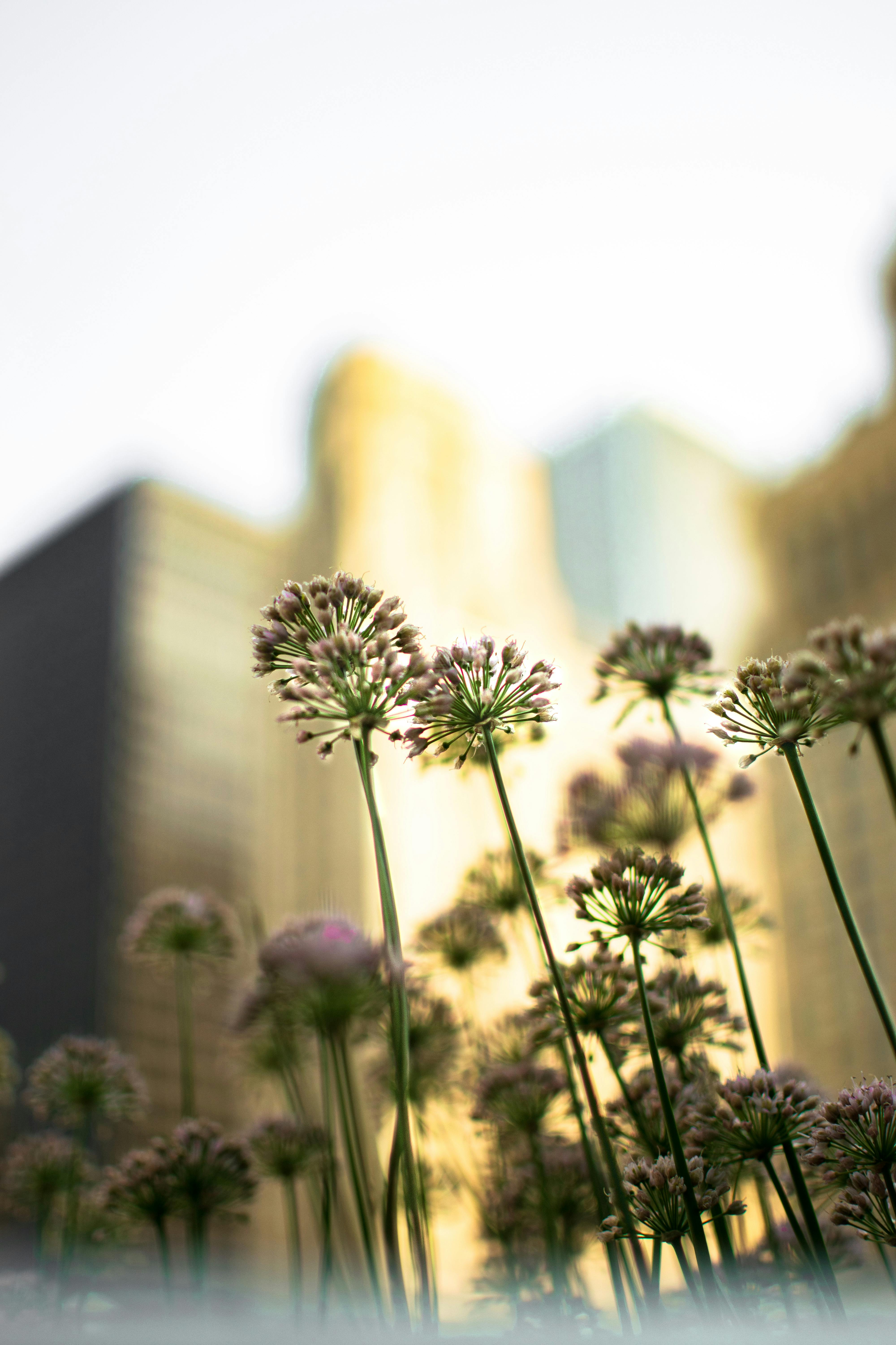 Sebastian Estrada - Photography