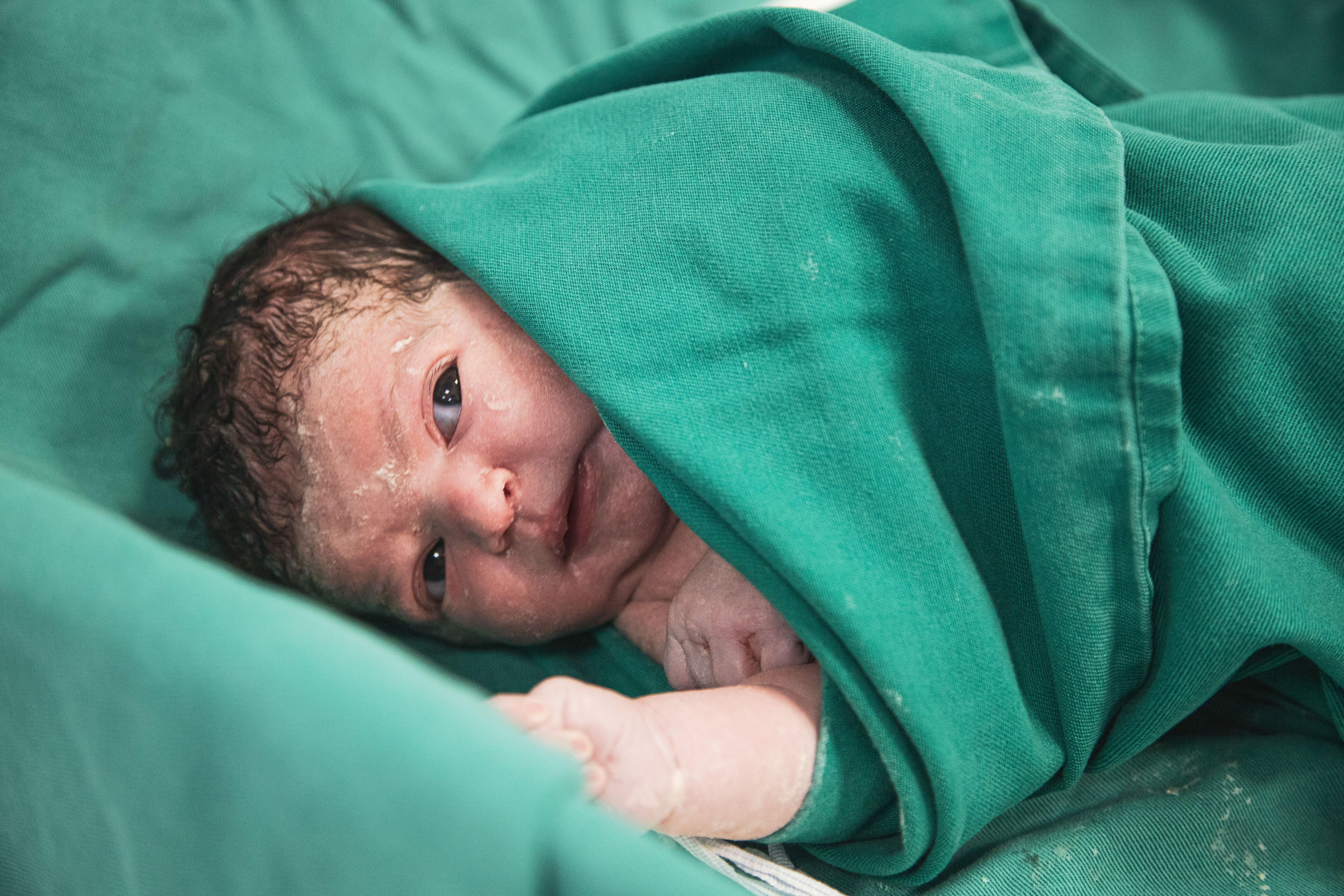 Born Baby Photo Photos, Download The BEST Free Born Baby Photo Stock ...