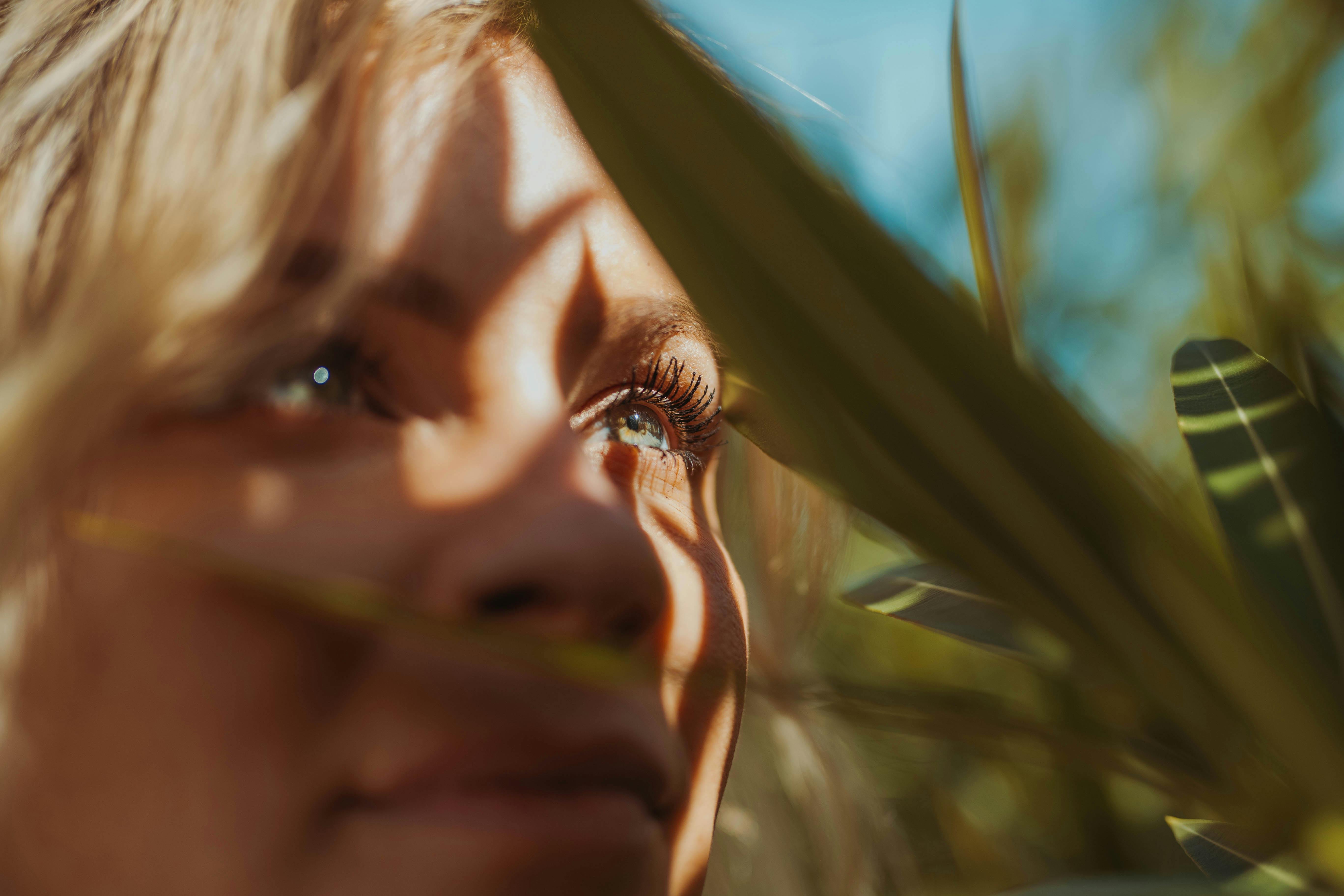 Eyes in nature · Free Stock Photo