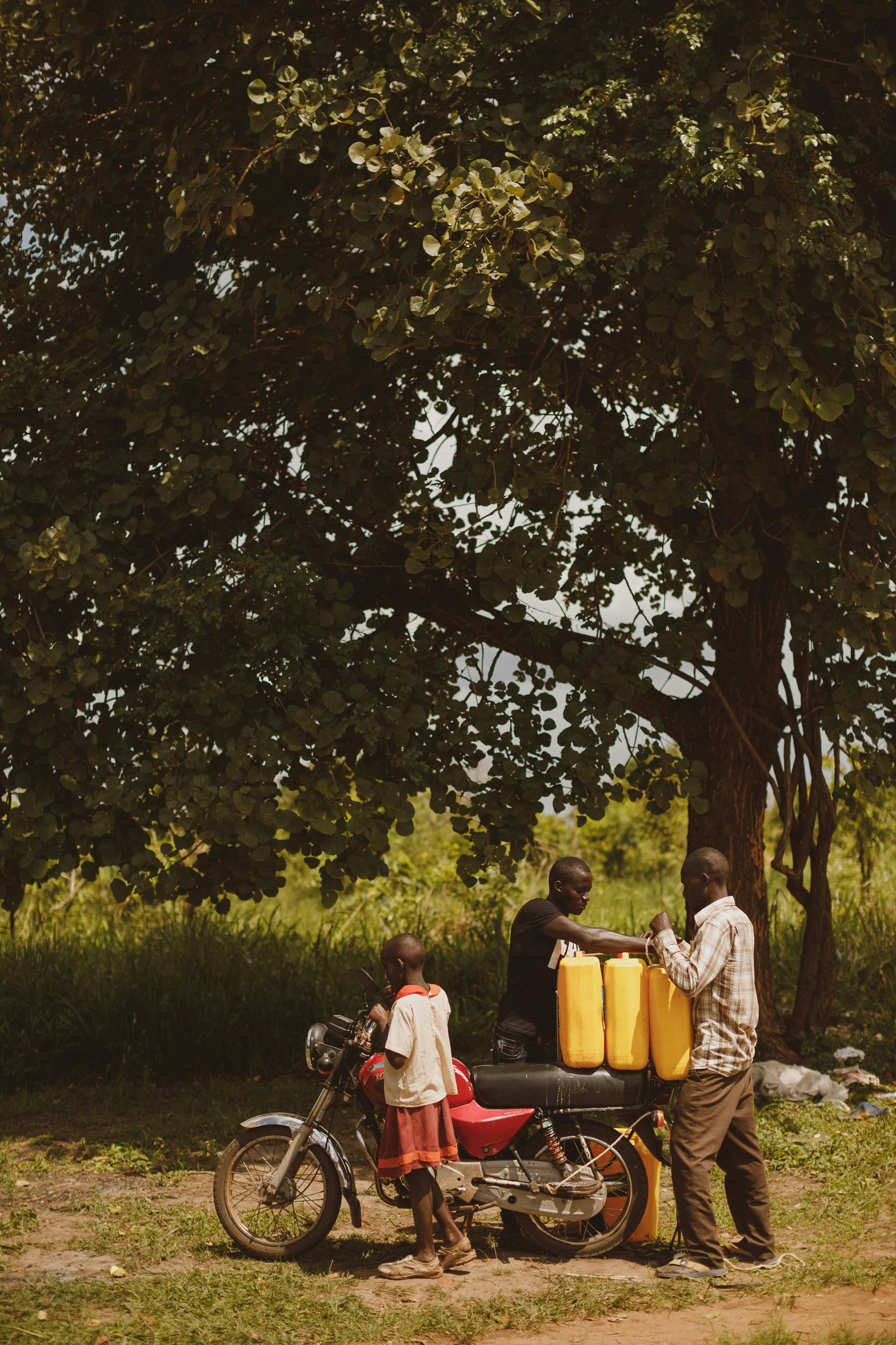 Orom Photos, Download The BEST Free Orom Stock Photos & HD Images