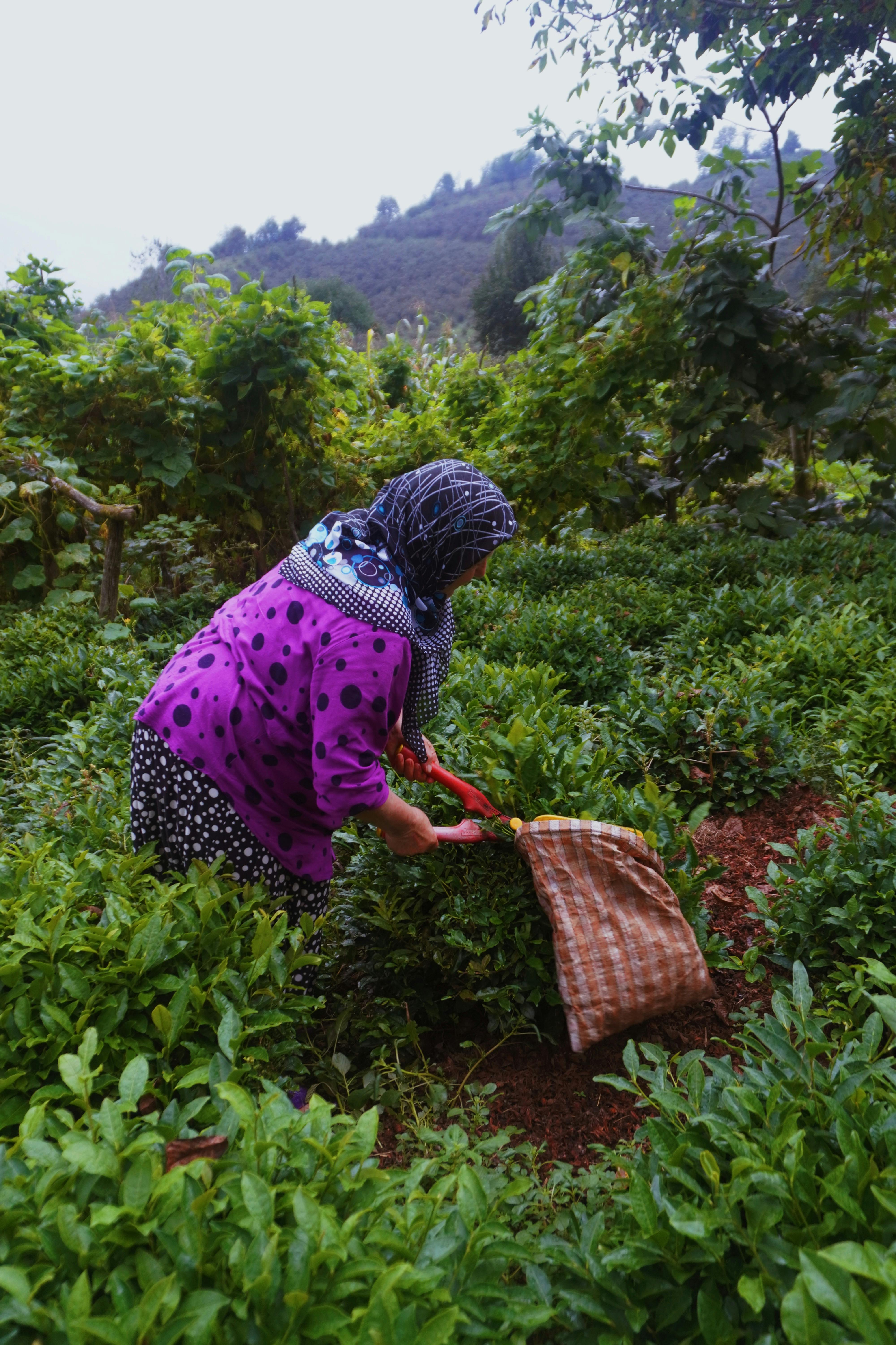 Wallpaper Pick Photos, Download The BEST Free Wallpaper Pick Stock ...