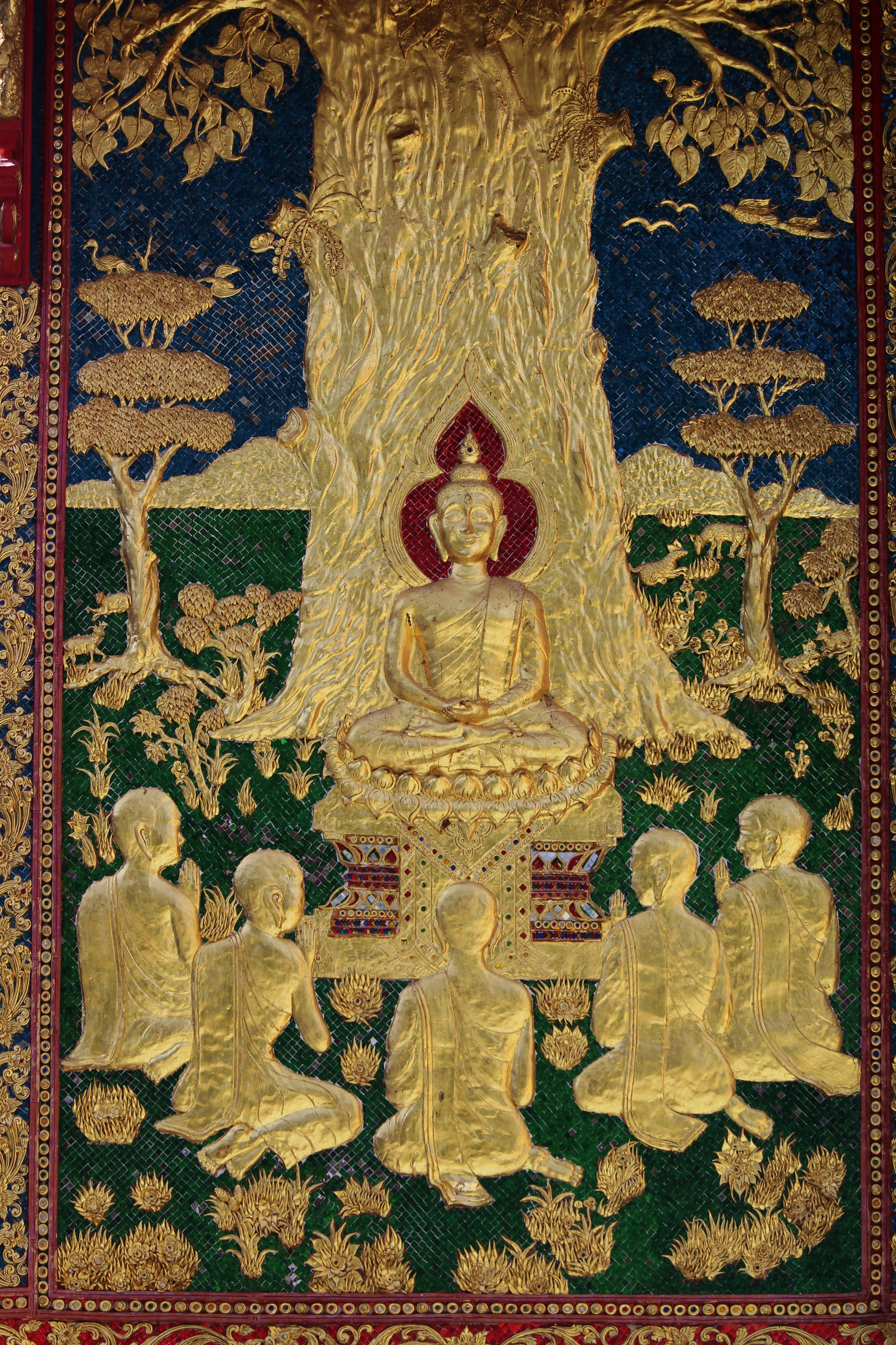 Bo Tree Photos, Download The BEST Free Bo Tree Stock Photos & HD Images