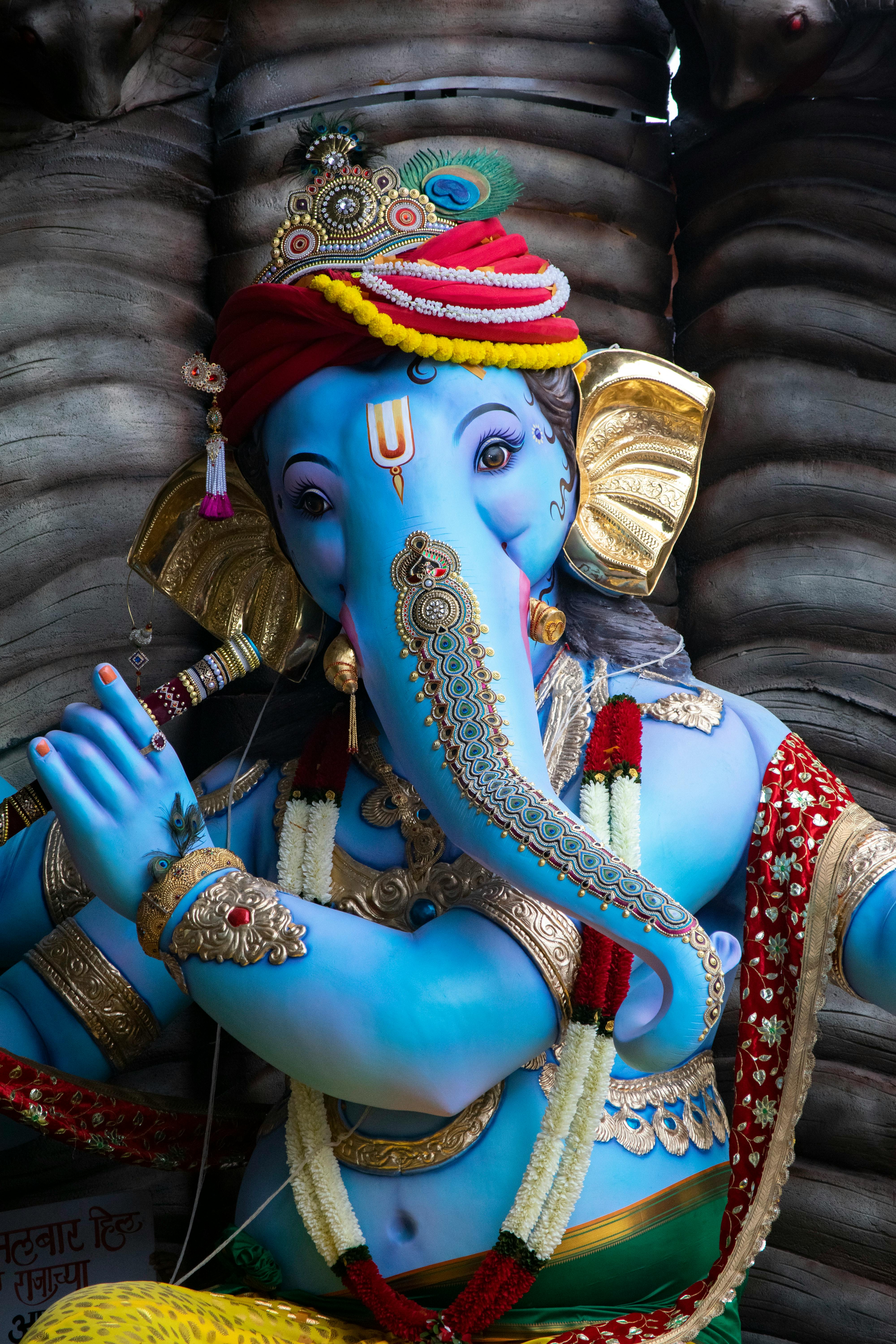 Malabar Hill Cha Raja 2024 · Free Stock Photo