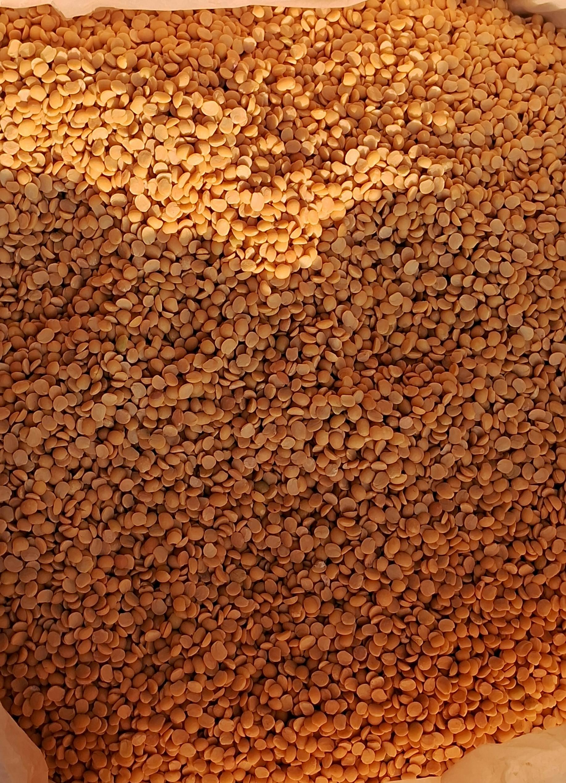 Flat Lay Photography of Three Tray of Foods · Free Stock Photo