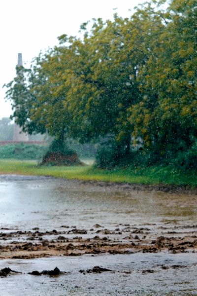 Nature Background Barish Photos, Download The BEST Free Nature ...