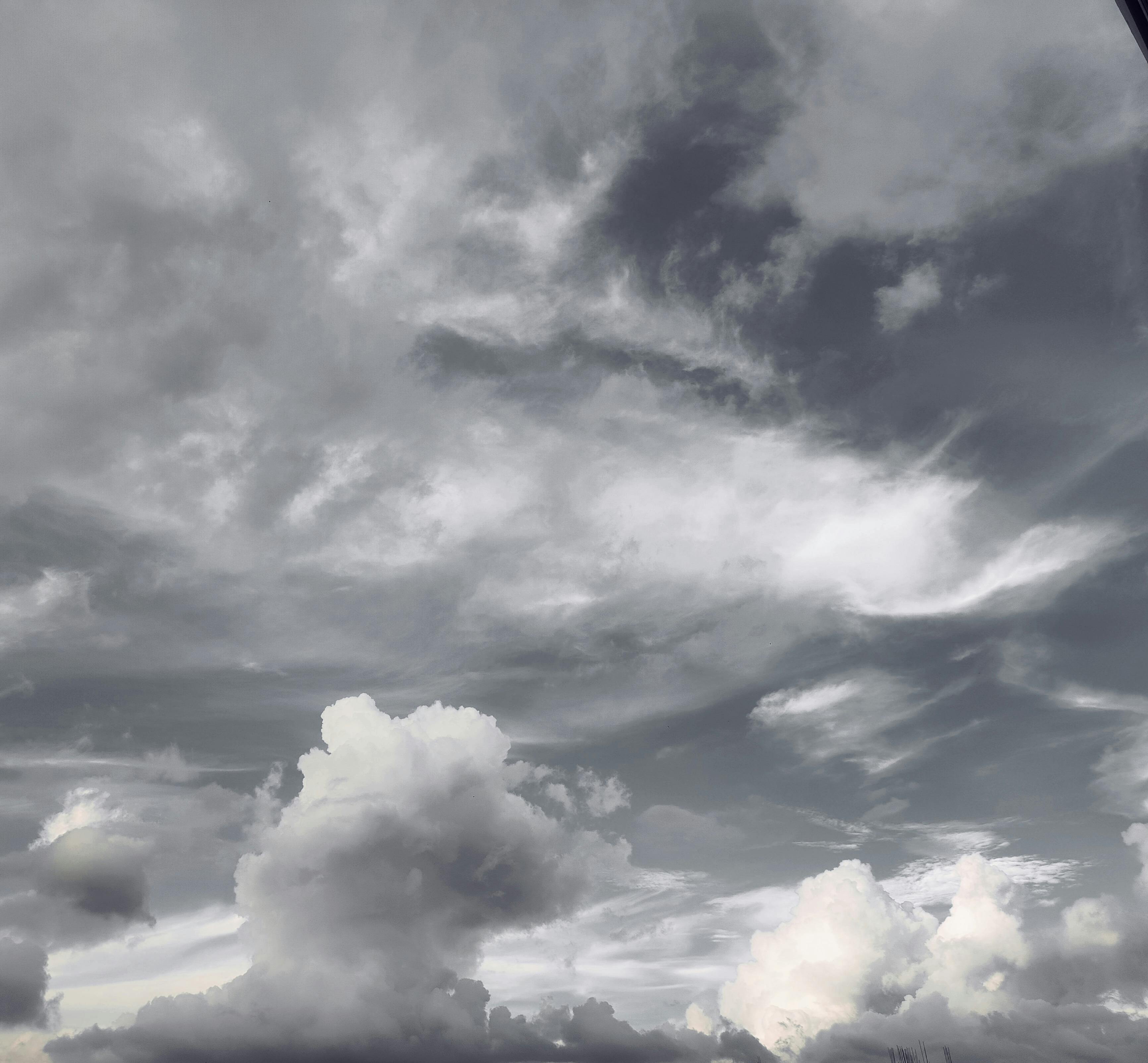 Nusrat Mim - Fotografía