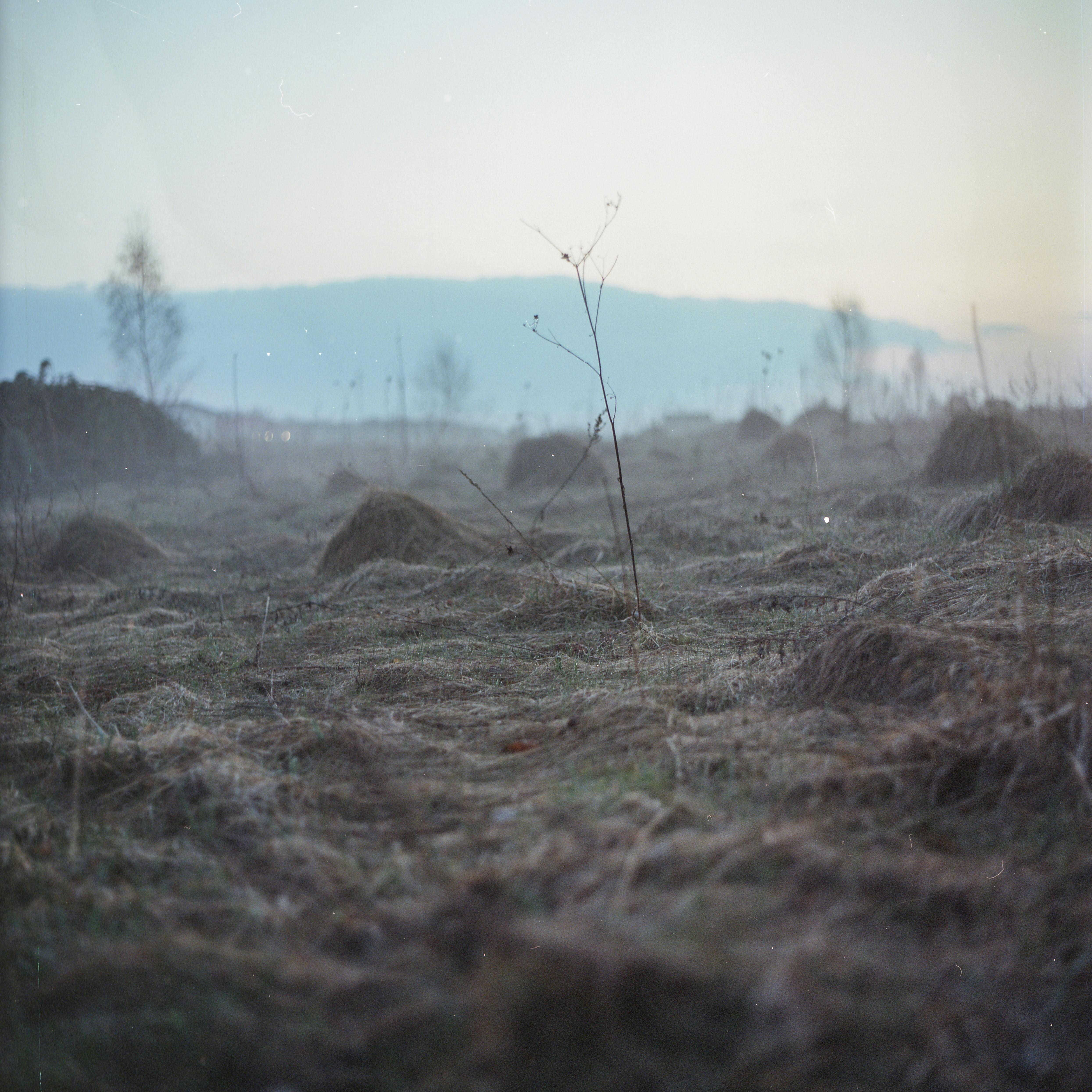 Barren Field Photos, Download The BEST Free Barren Field Stock Photos ...