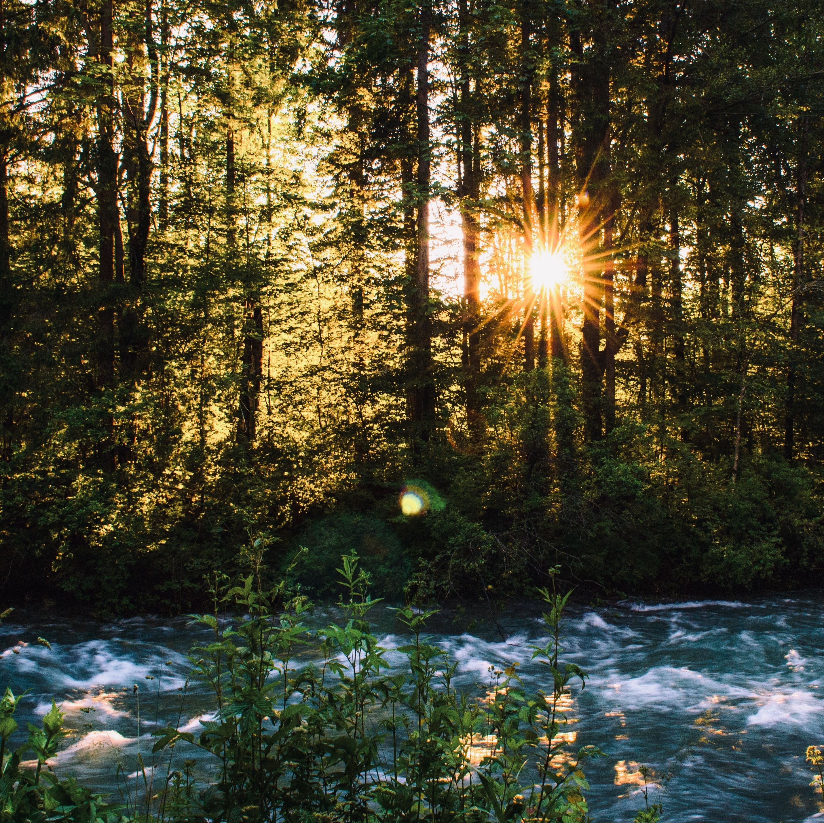 Nature Pfp Photos, Download The BEST Free Nature Pfp Stock Photos & HD ...