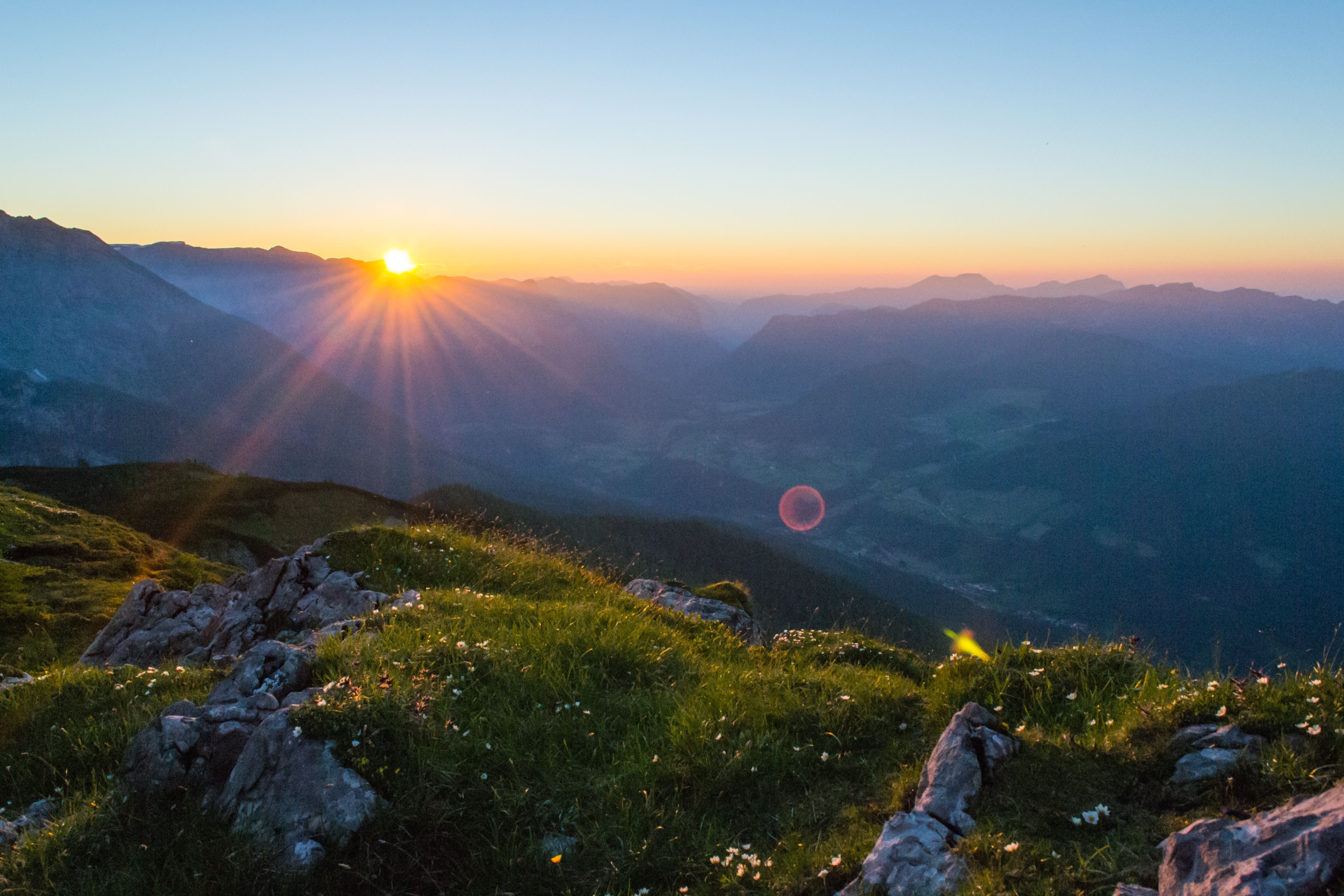 The sun rises over a mountain range with grass and flowers · Free Stock ...