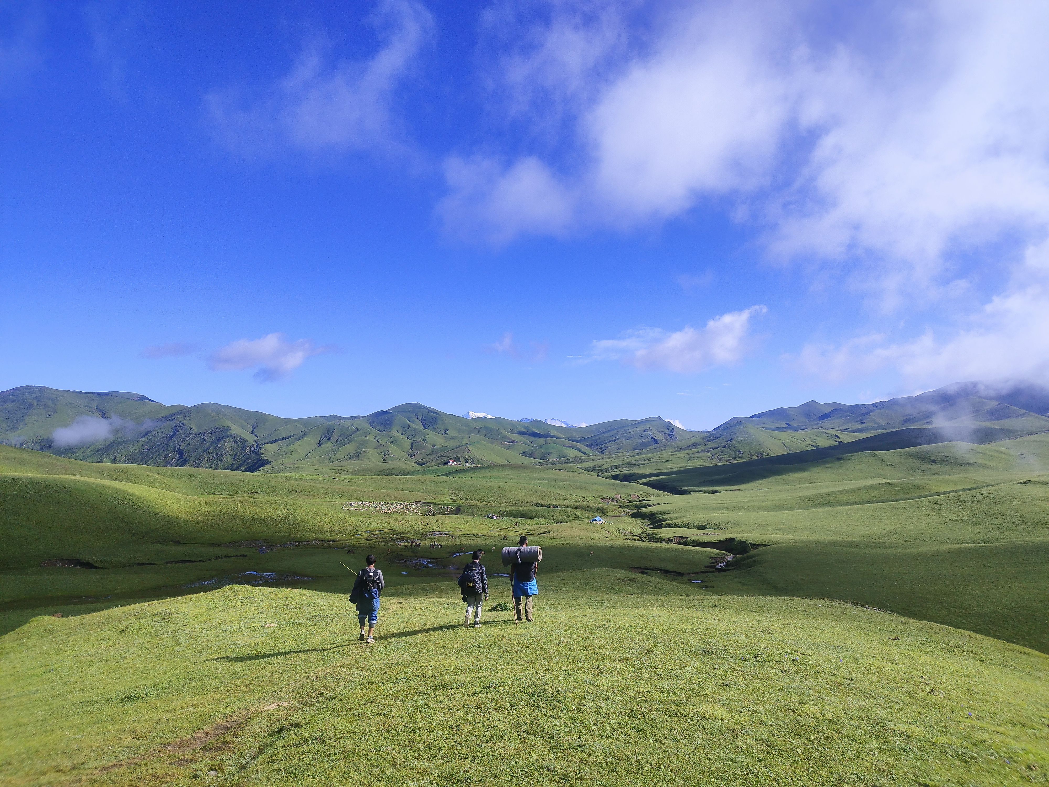 Bajura Photos, Download The BEST Free Bajura Stock Photos & HD Images